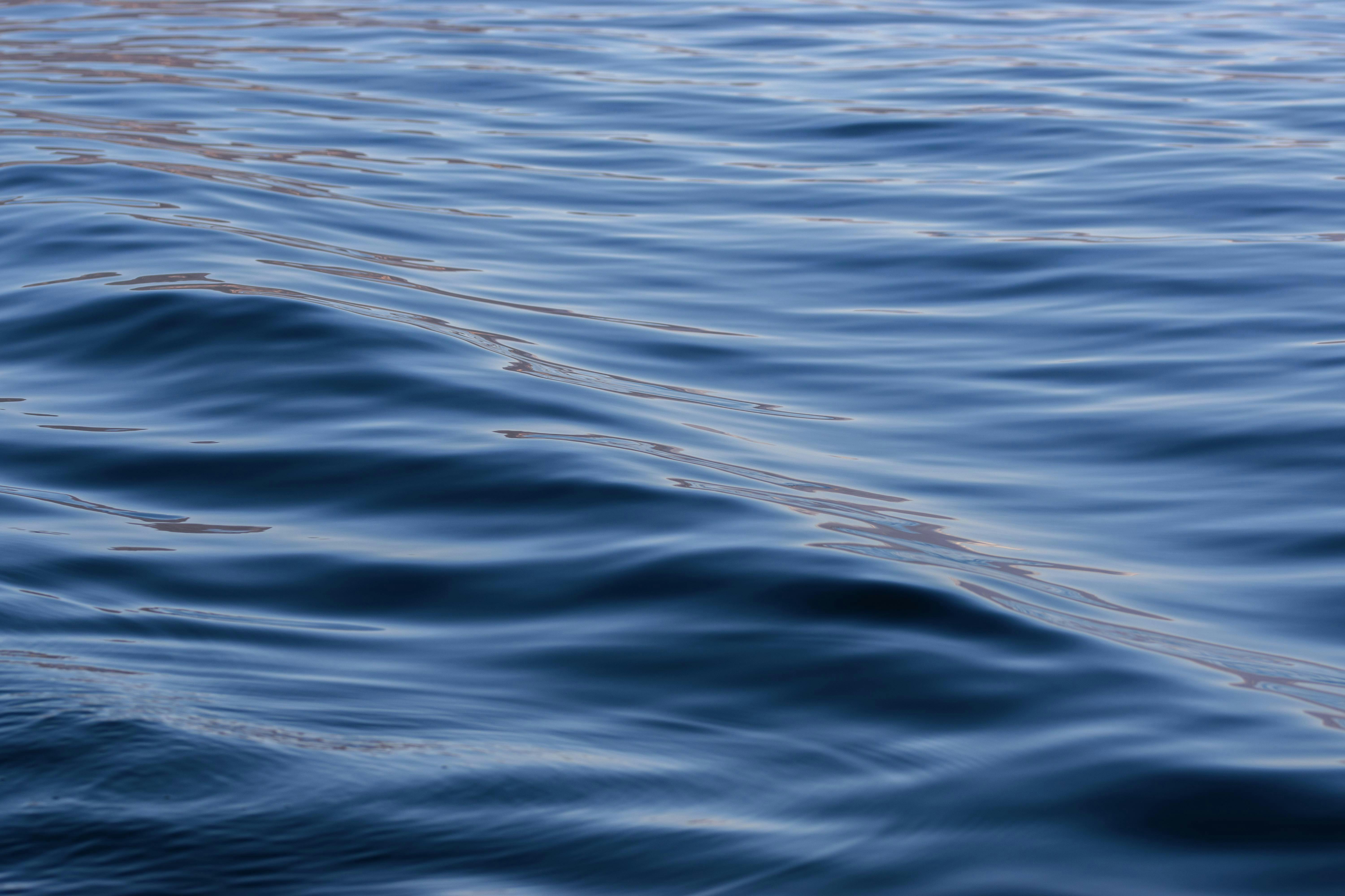 Smooth Wave on the Ocean Surface · Free Stock Photo