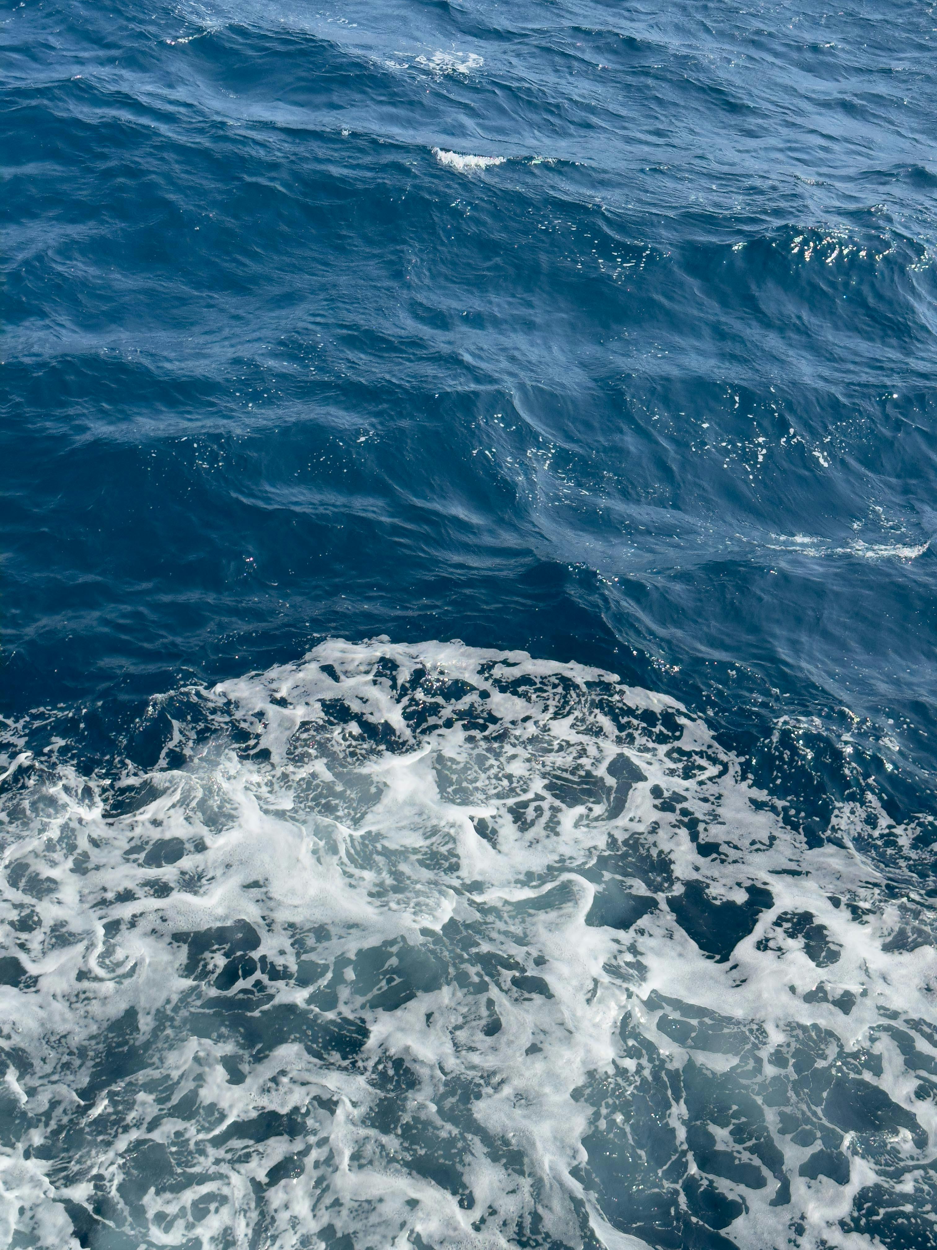 Foamy Water on the Ocean Surface · Free Stock Photo