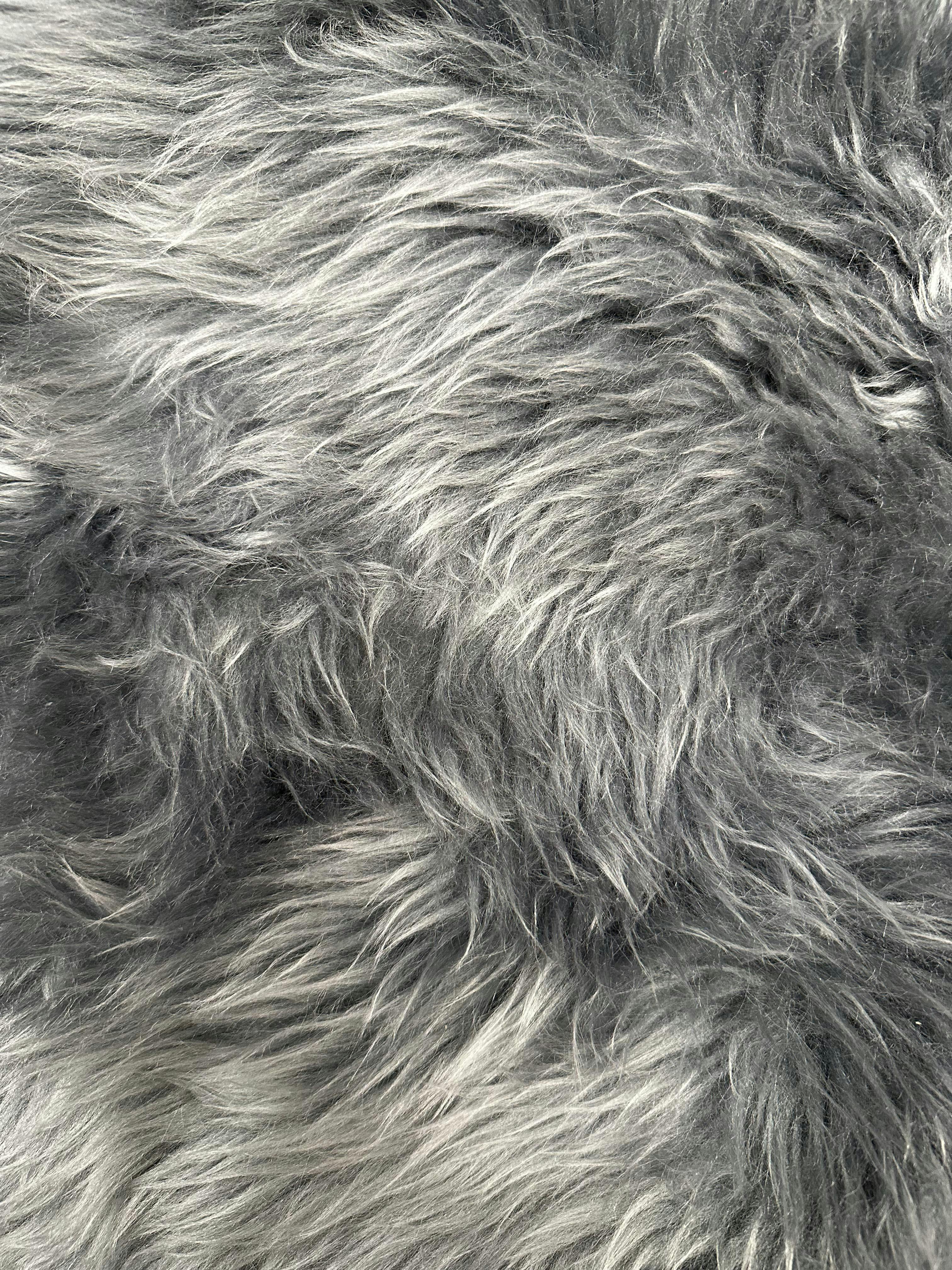 Close up of Animal Fur · Free Stock Photo