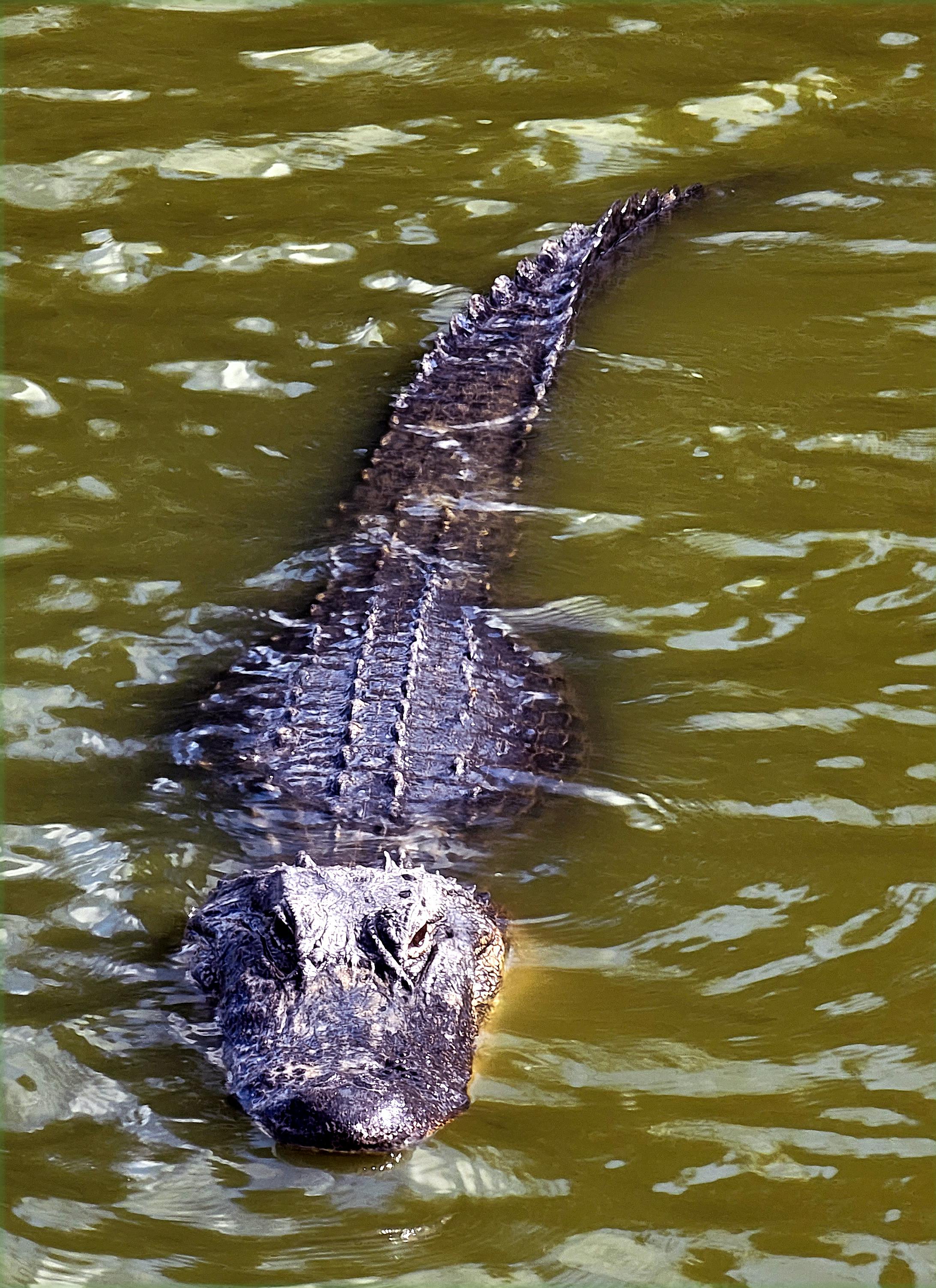 Christopher Moon - 사진