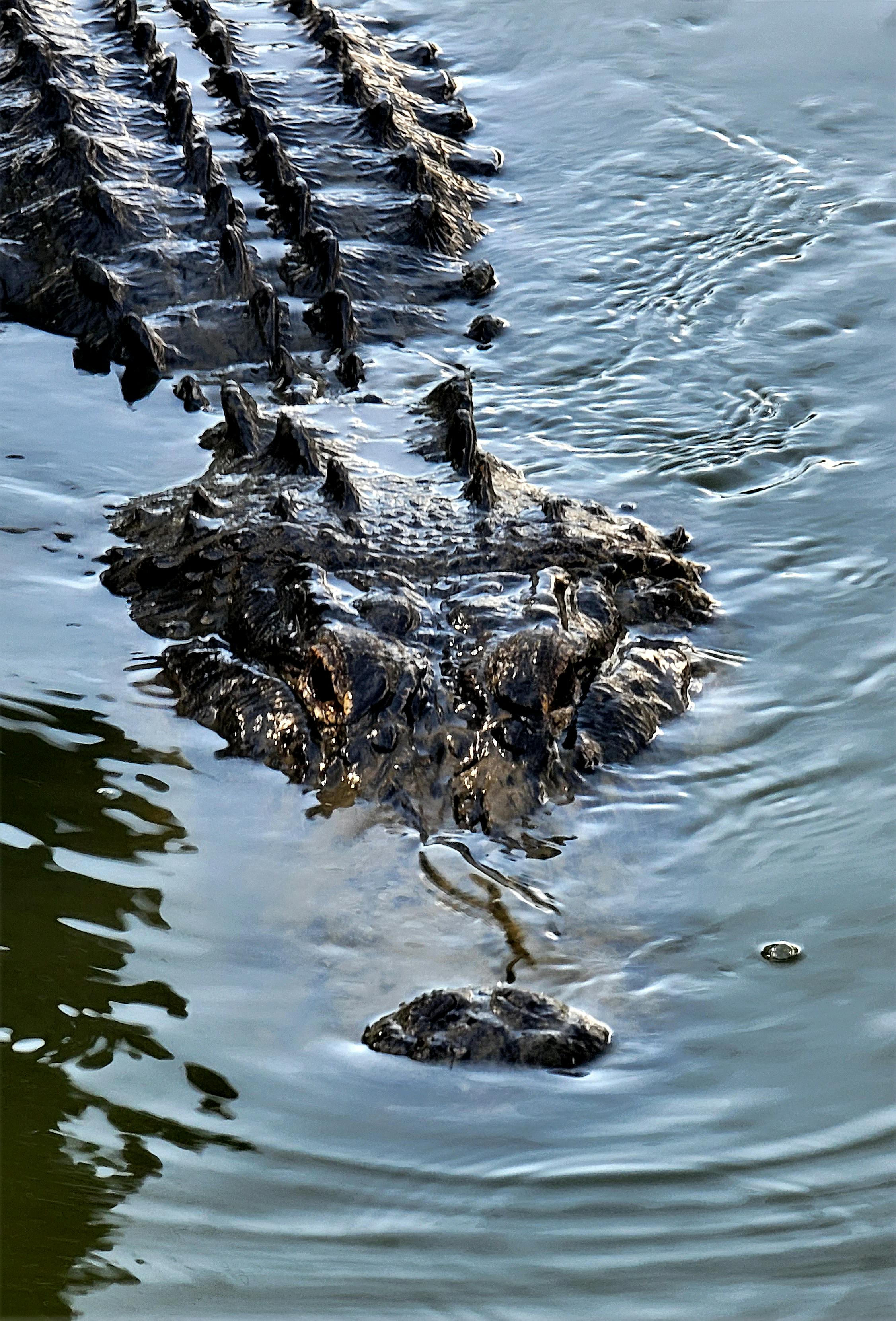 Christopher Moon - Photography