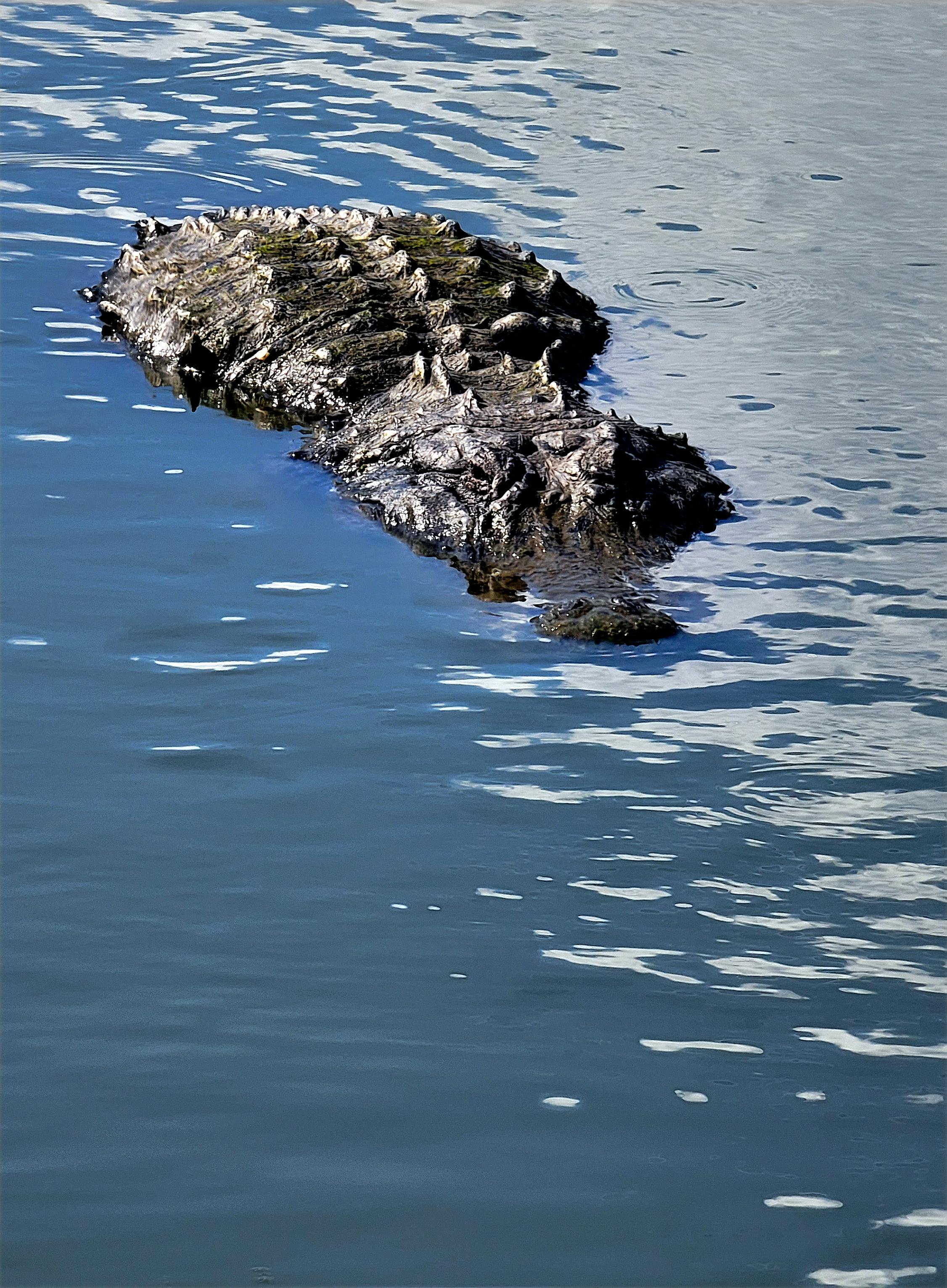 Christopher Moon - 사진