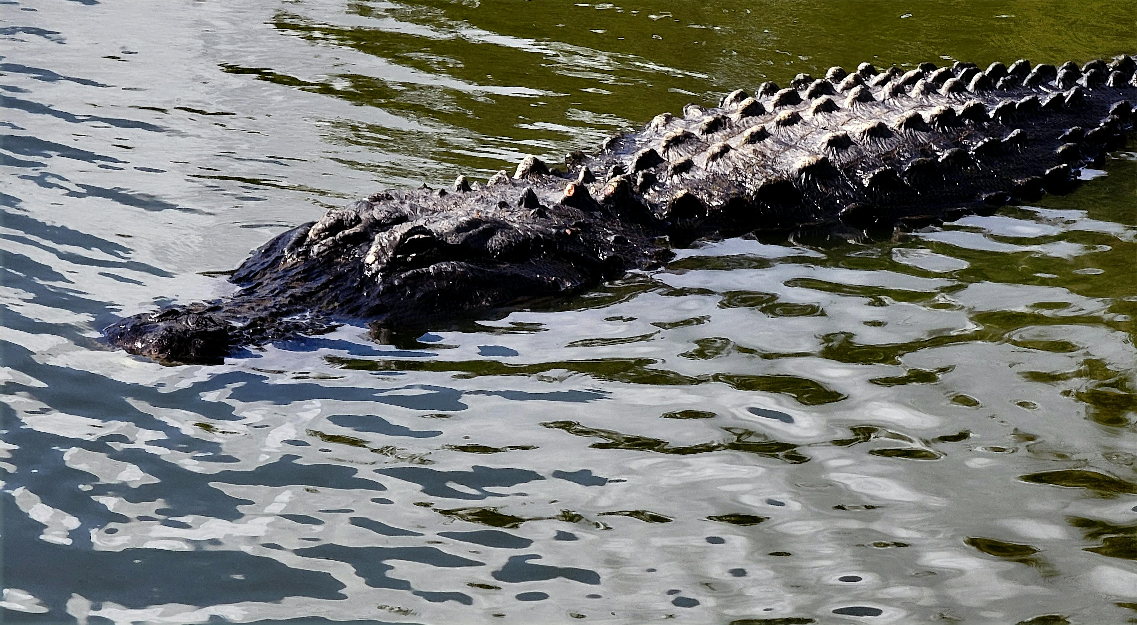 Christopher Moon - Photography