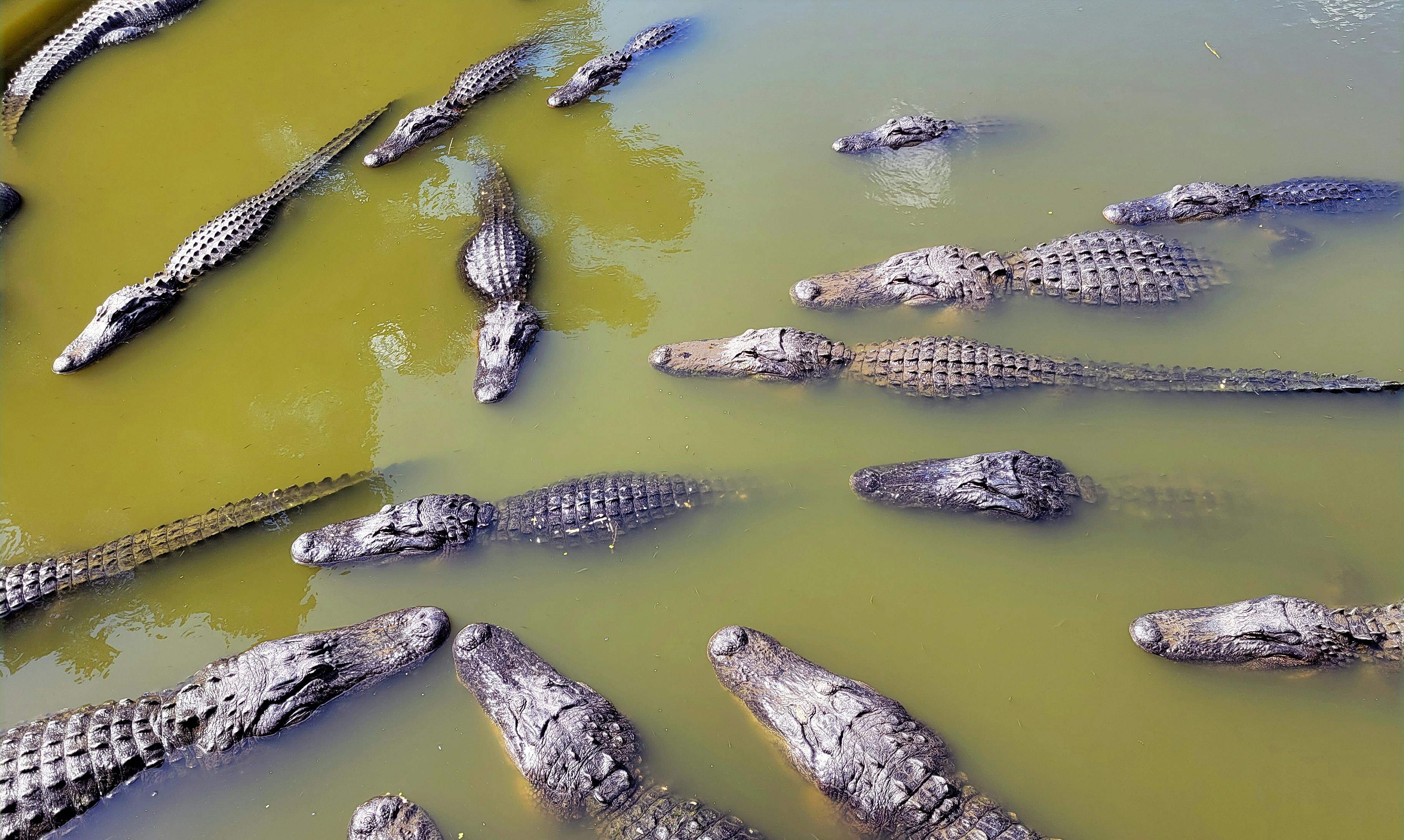 Christopher Moon - Photography