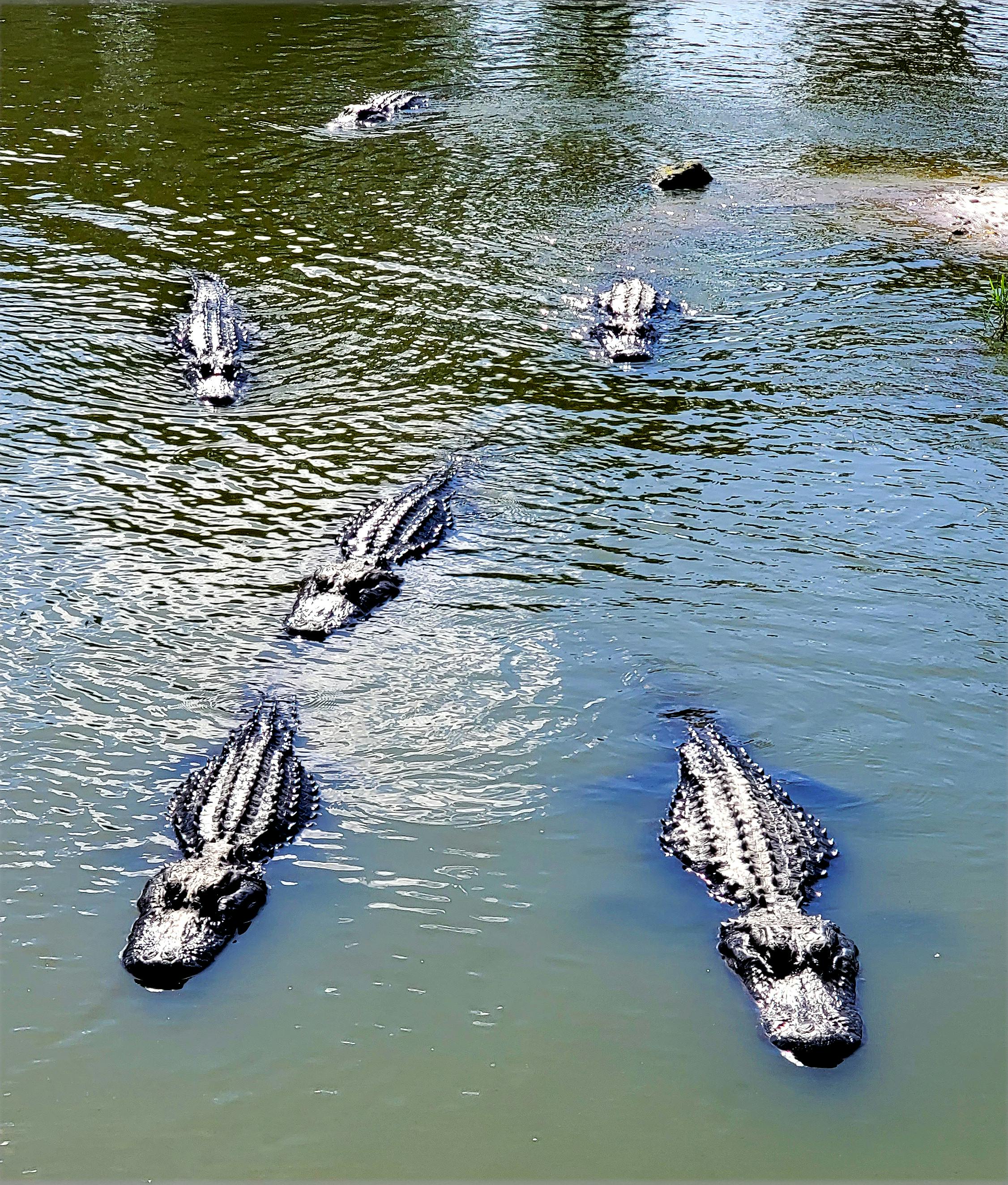 Christopher Moon - Photography