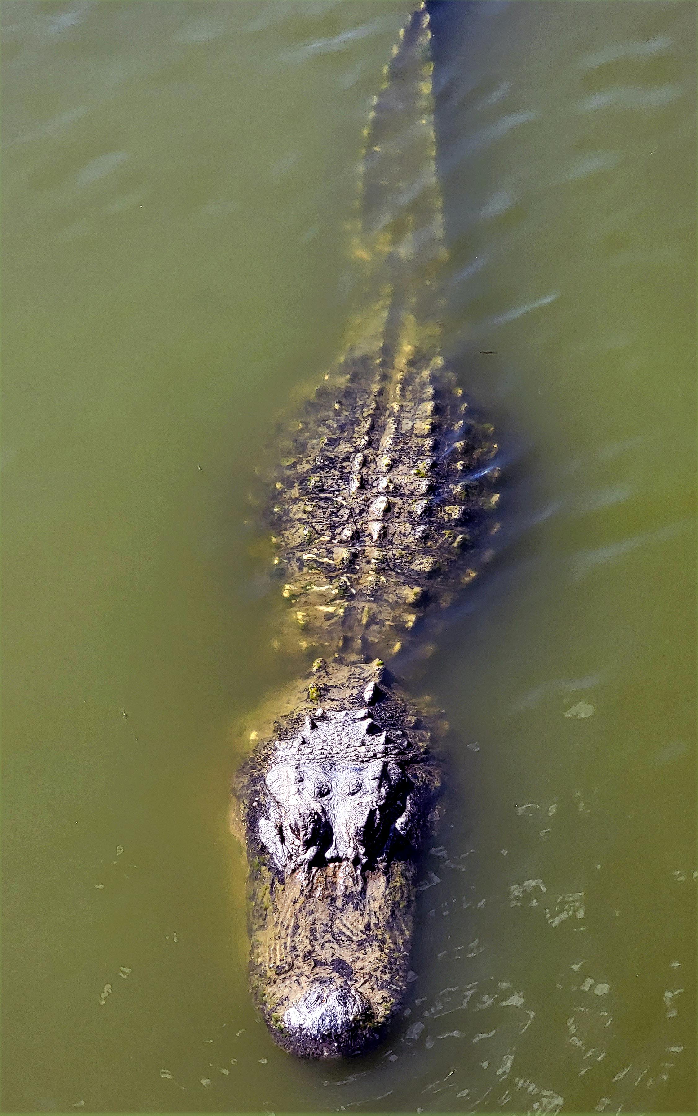 Christopher Moon - Photography