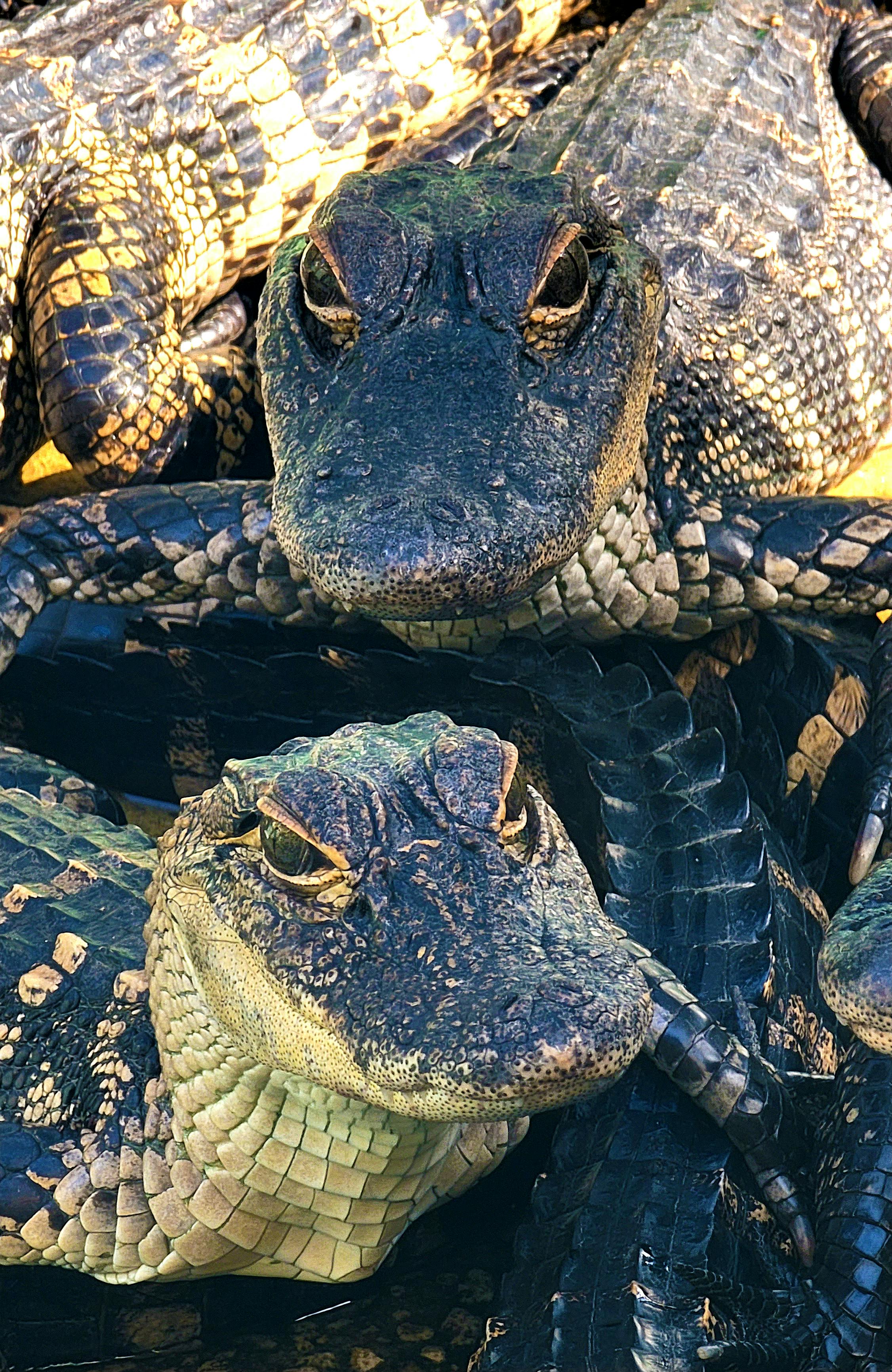 Christopher Moon - Photography