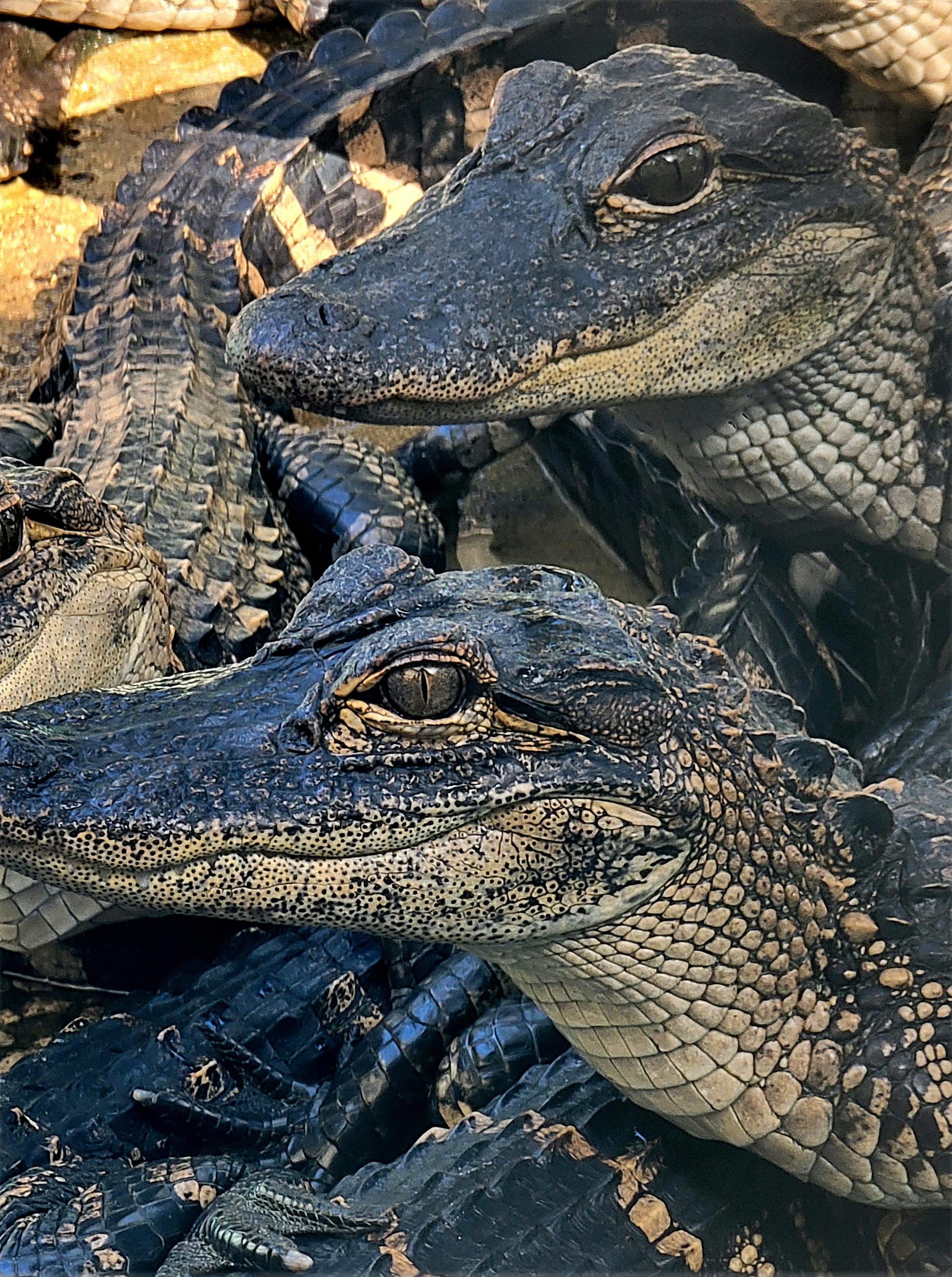 Christopher Moon - Photography