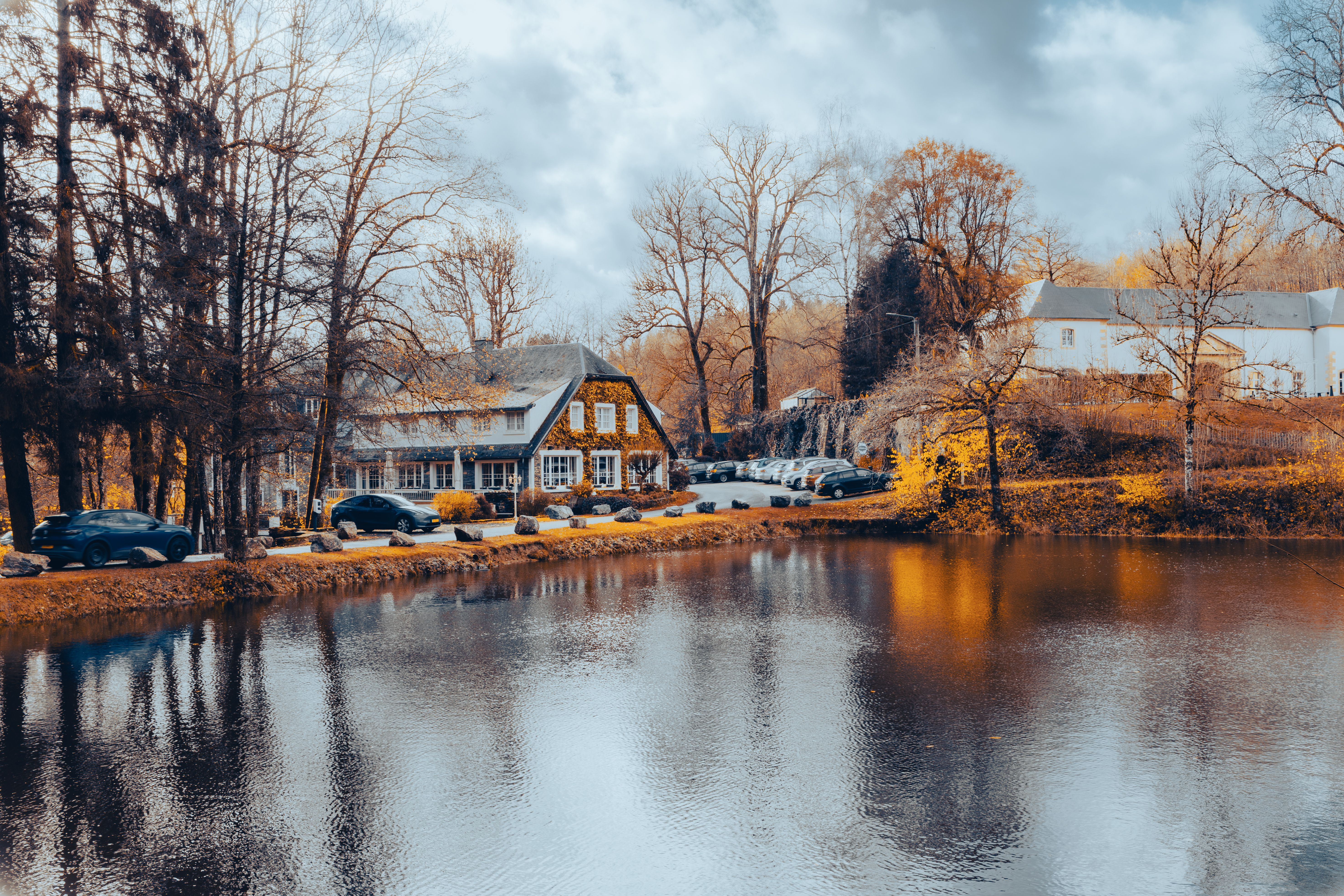 Small village on shore of lake surrounded by trees · Free Stock Photo