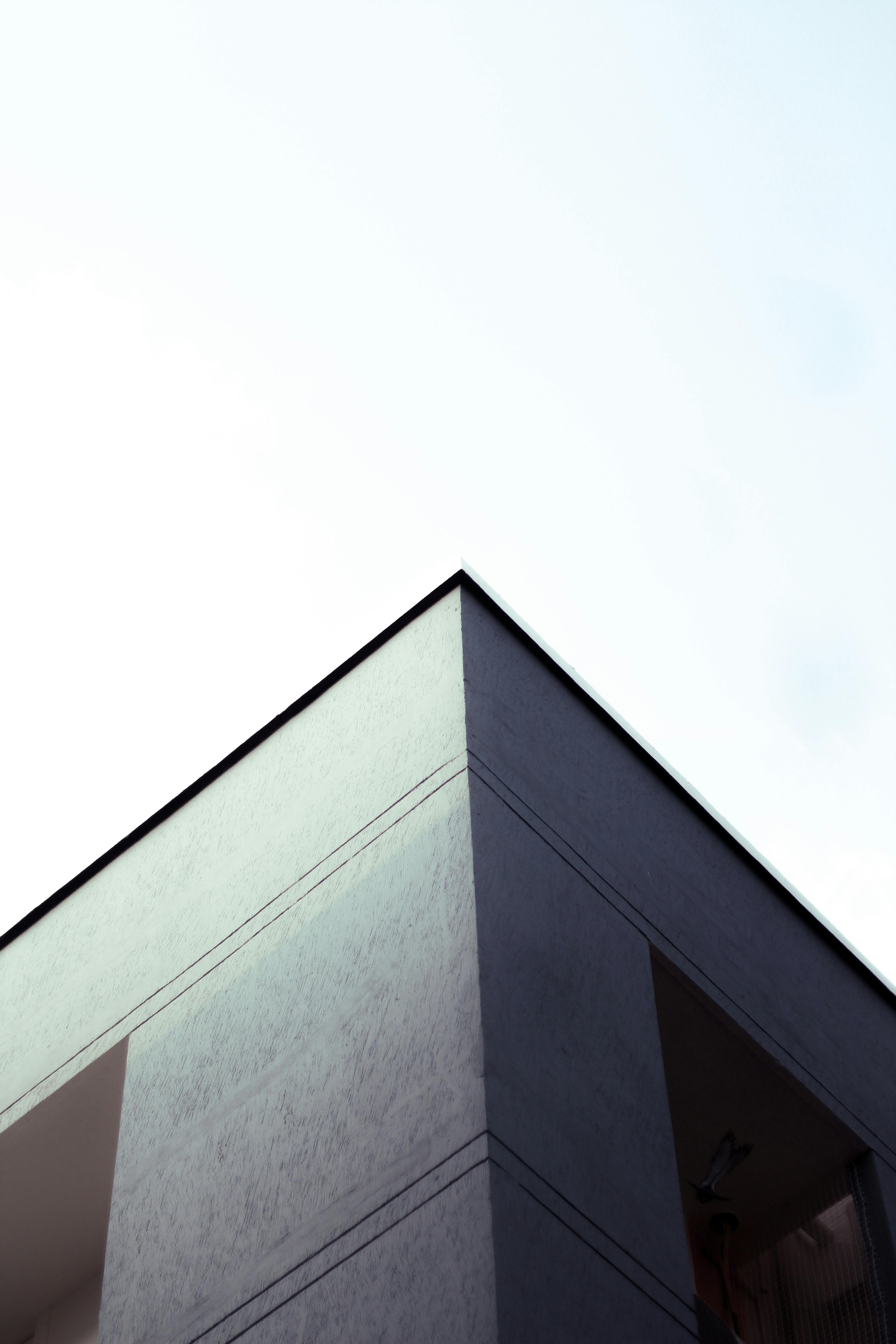 Tall Photos, Download The BEST Free Tall Stock Photos & HD Images