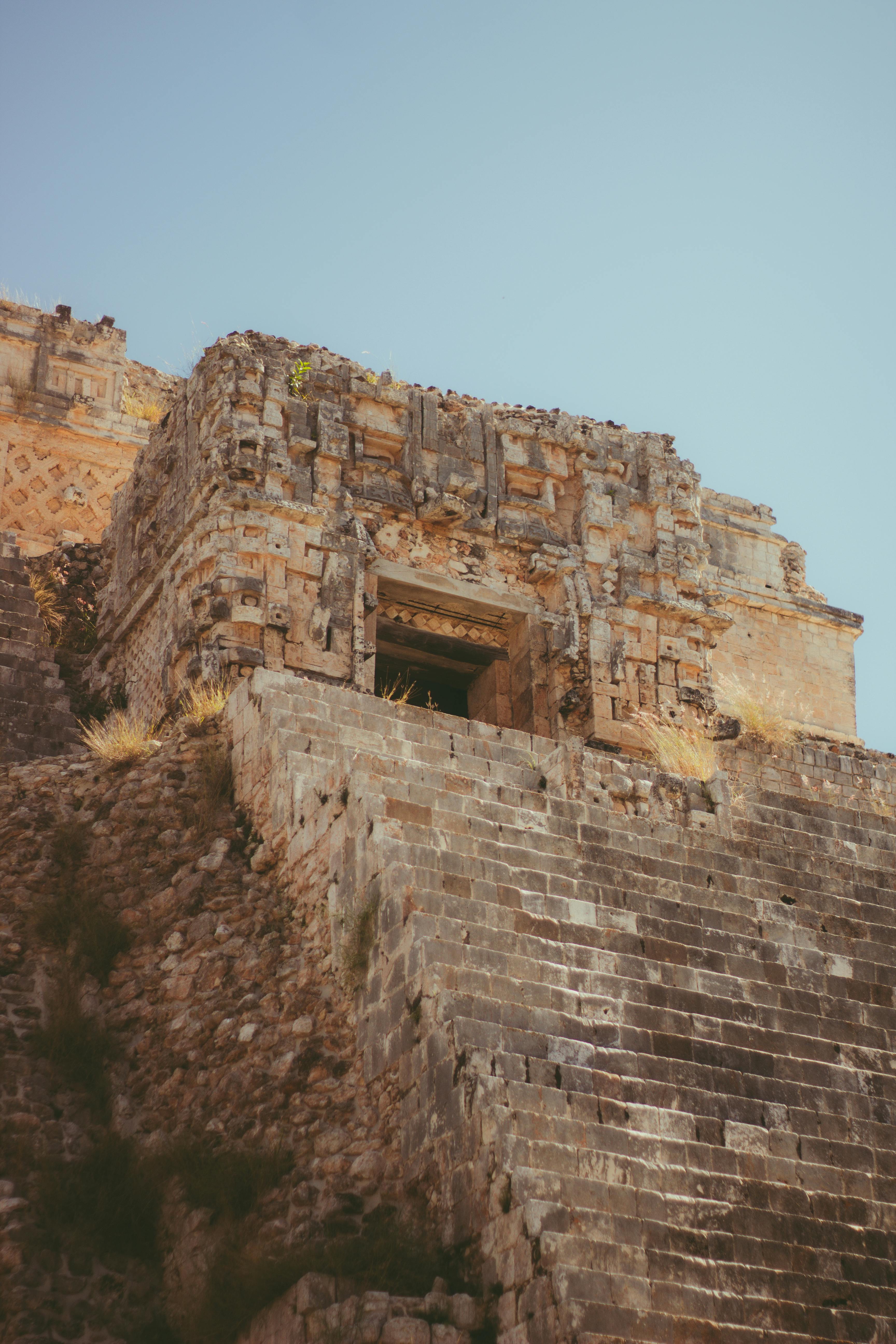 Foto de stock gratuita sobre al aire libre, antiguo, arboles ...