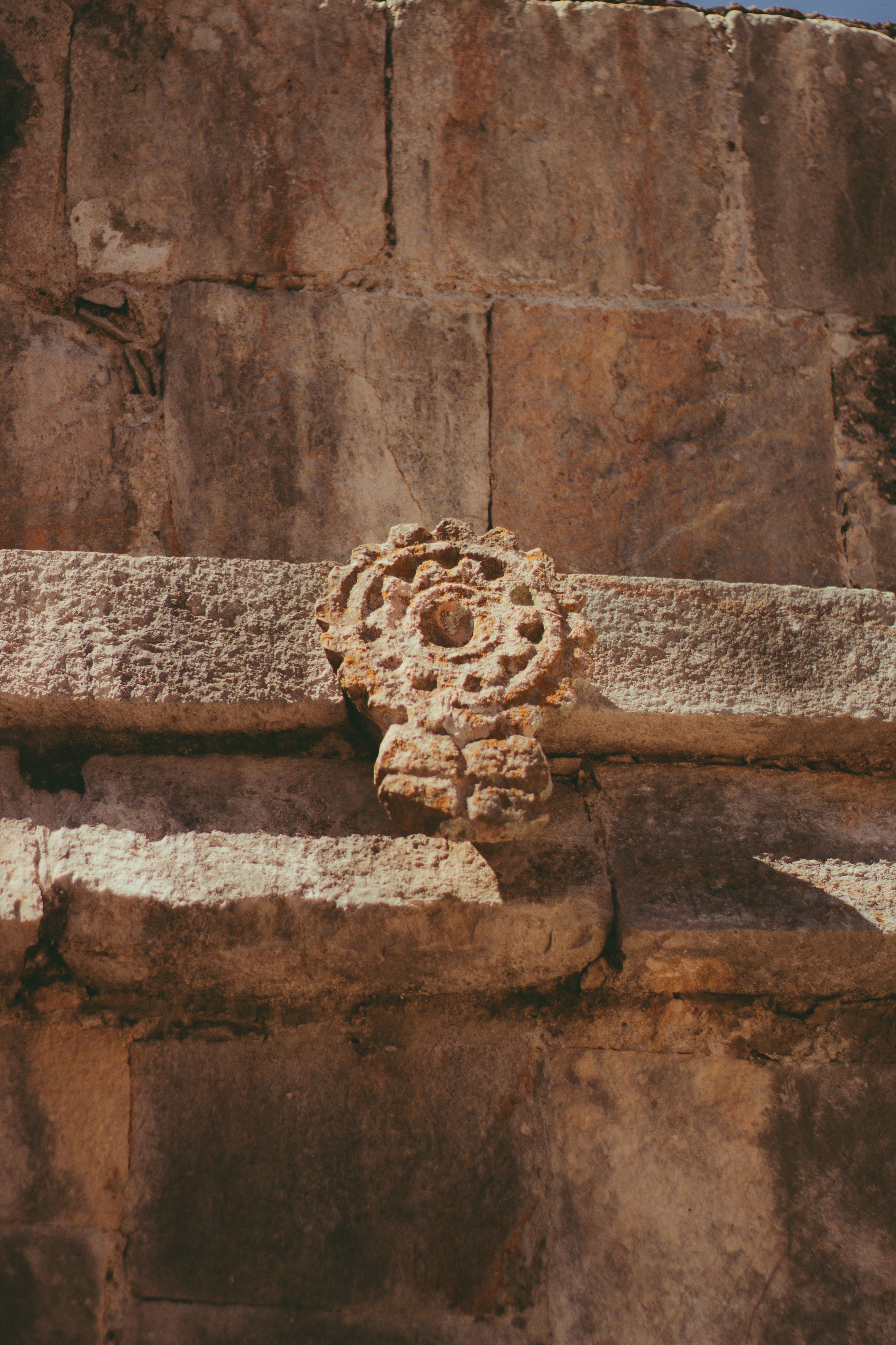 Relief Photos, Download The BEST Free Relief Stock Photos & HD Images
