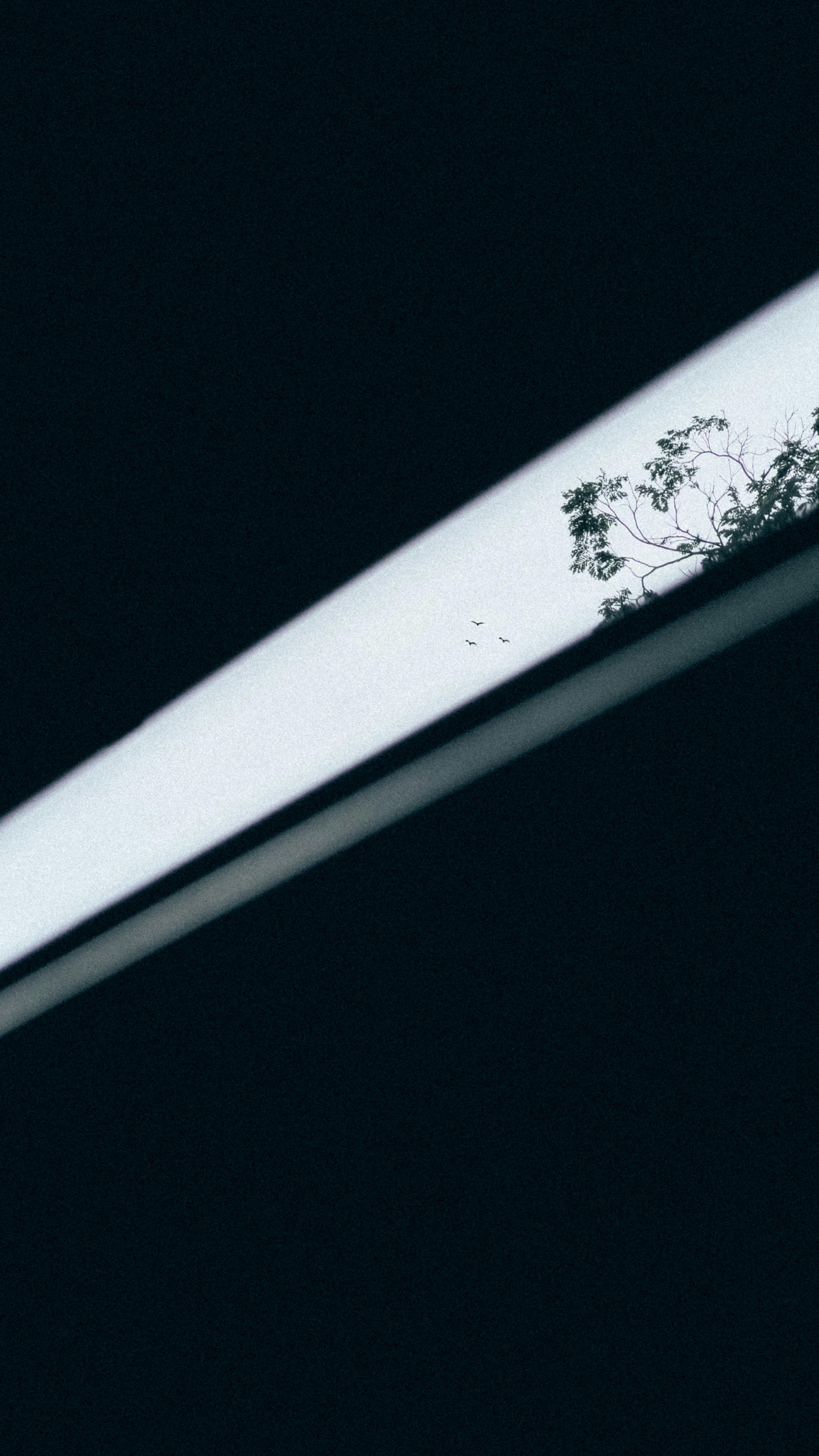 Camila Rocha - Photography