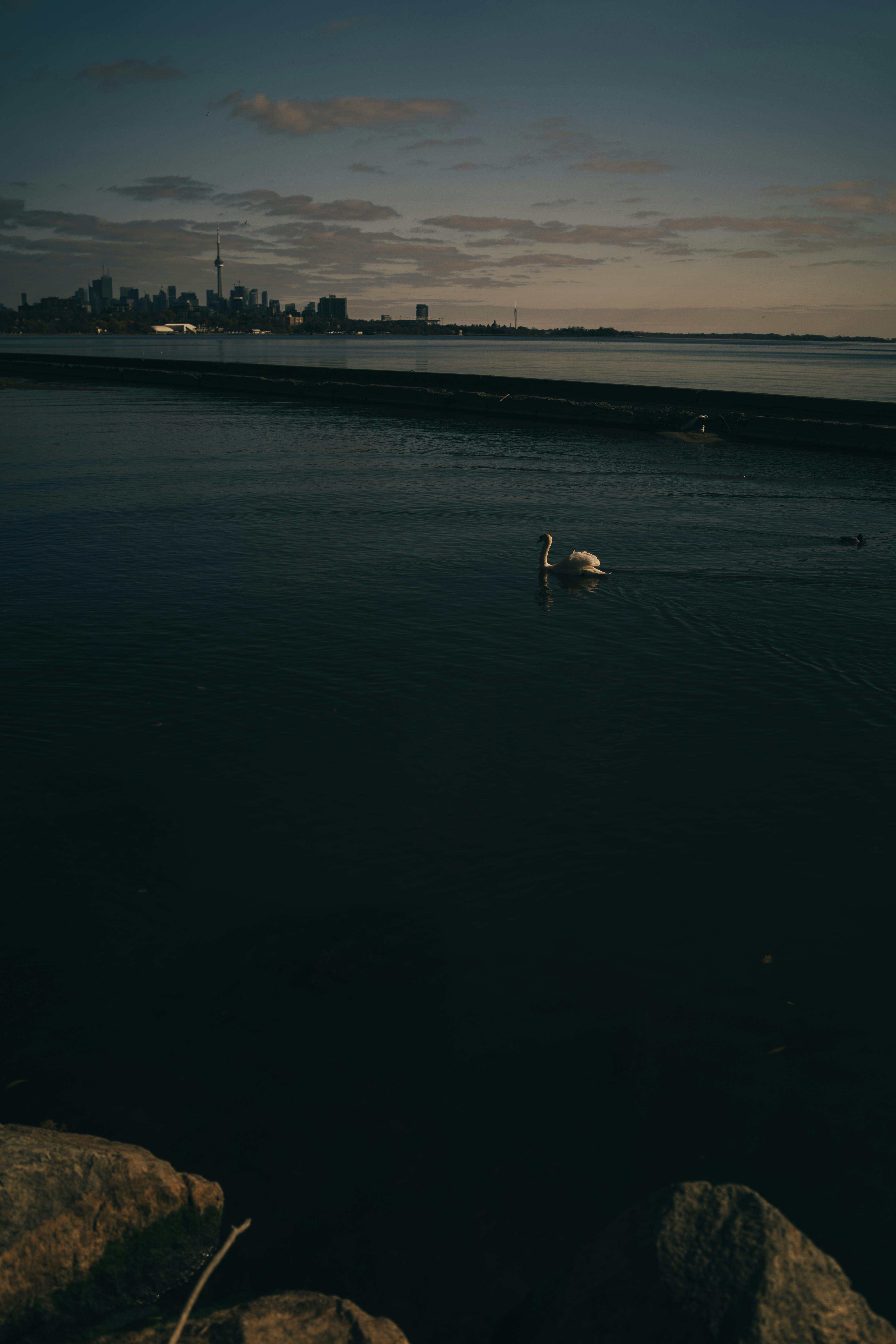 Neutral Landscape Photos, Download The BEST Free Neutral Landscape ...