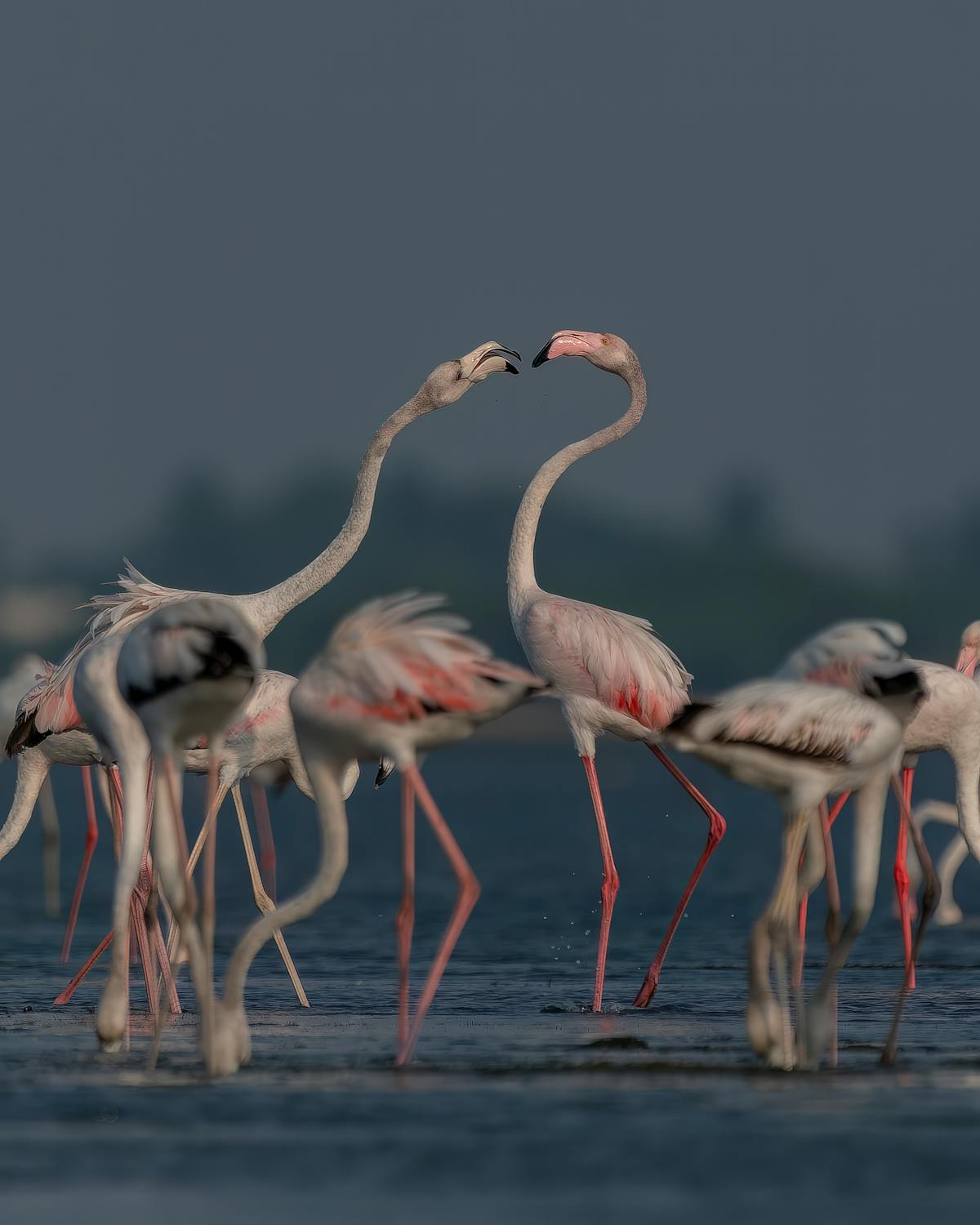 Greater Than 20mb Photos, Download The BEST Free Greater Than 20mb ...