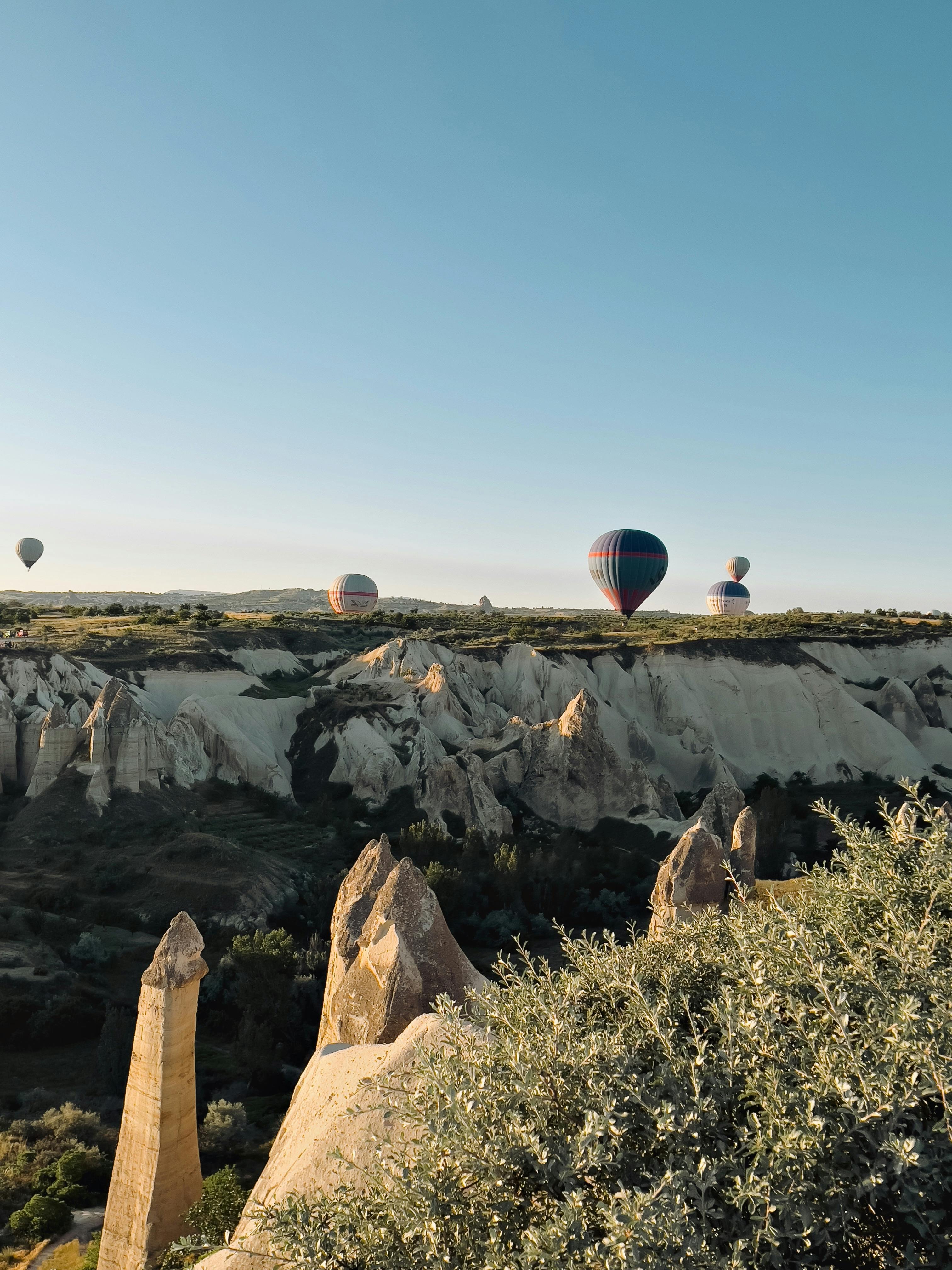 Employee Freedom Photos, Download The BEST Free Employee Freedom Stock ...