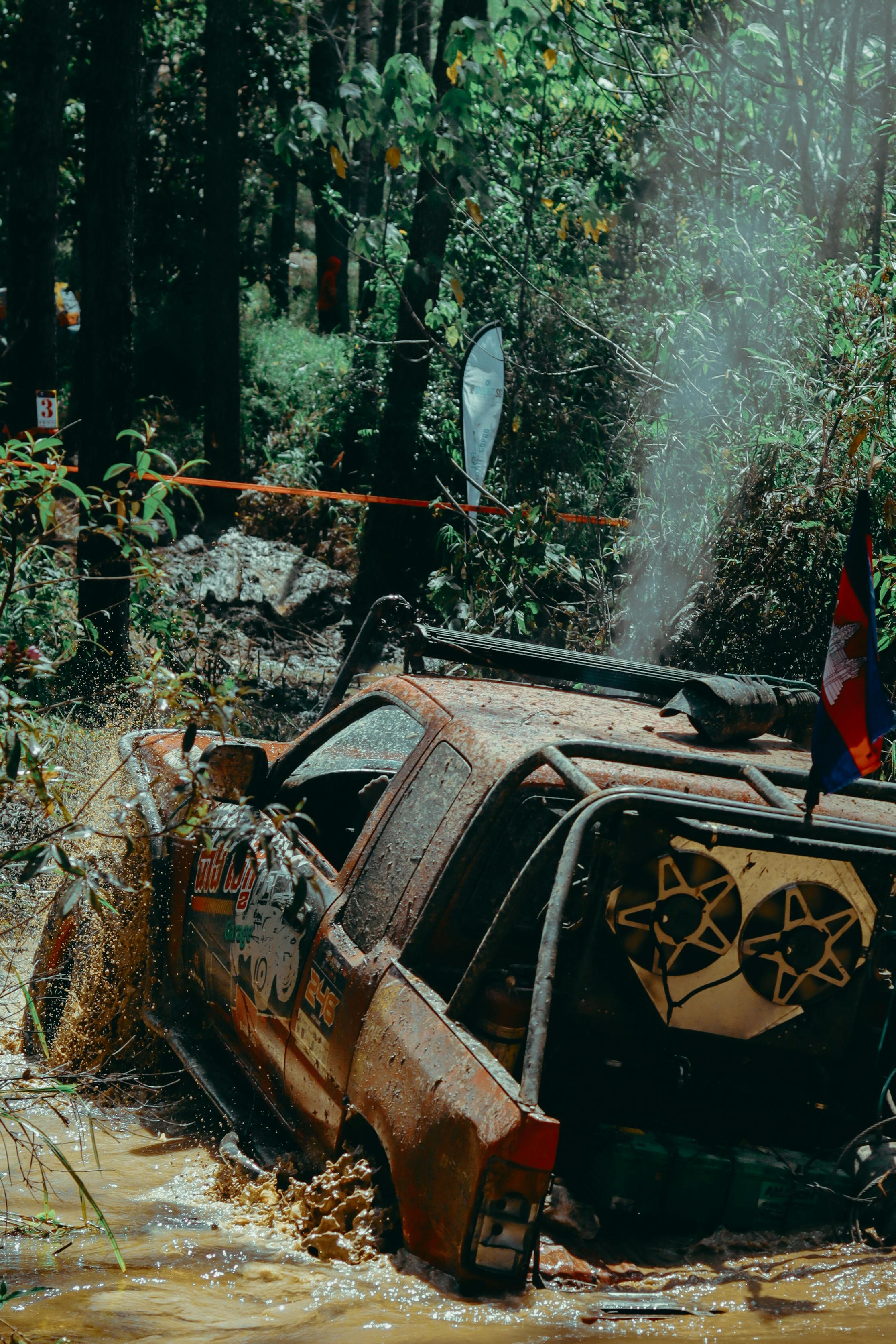 Car Jungle Photos, Download The BEST Free Car Jungle Stock Photos & HD ...