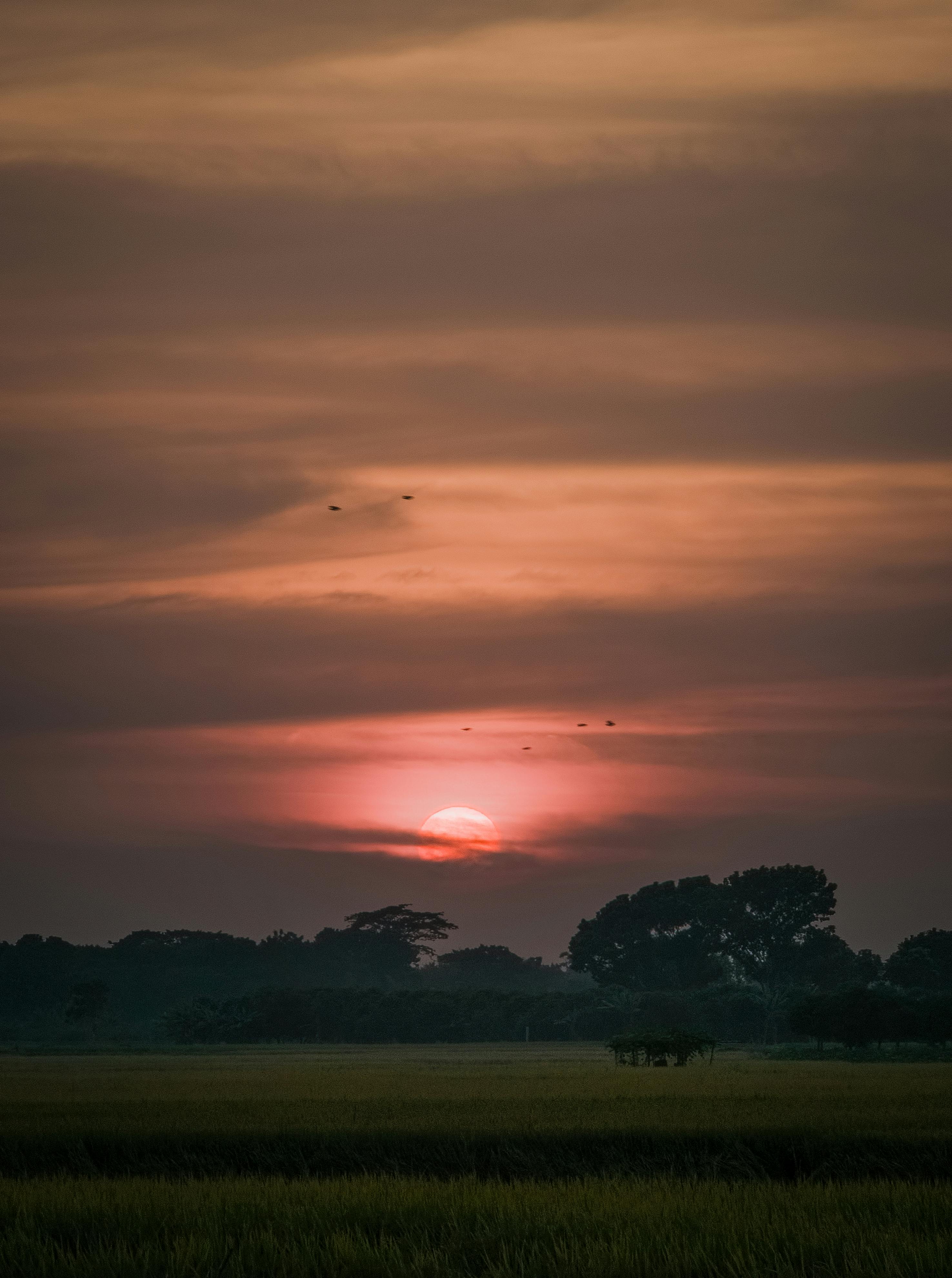 Rafid Tahmid - 사진