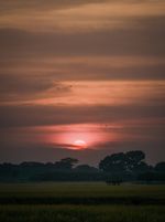 Field At Sunset Photos, Download The BEST Free Field At Sunset Stock ...