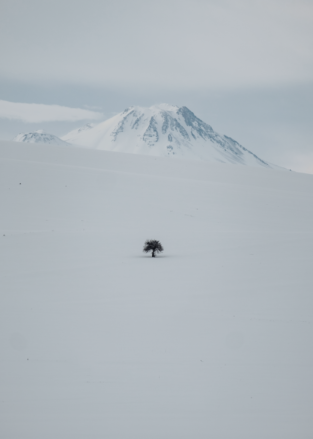Single Mountain Photos, Download The BEST Free Single Mountain Stock ...