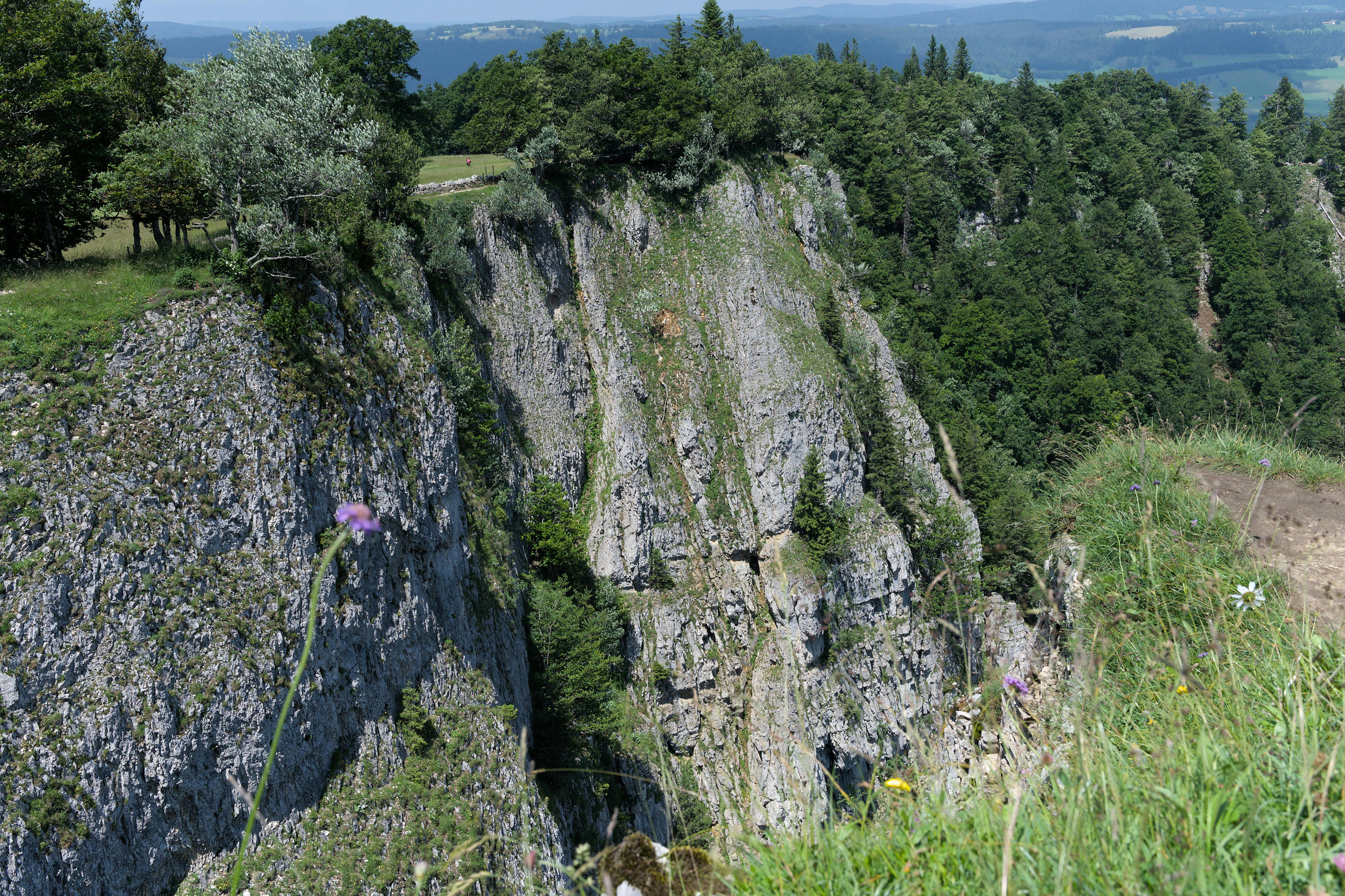 Cliffside in Tree Covered Landscape · Free Stock Photo