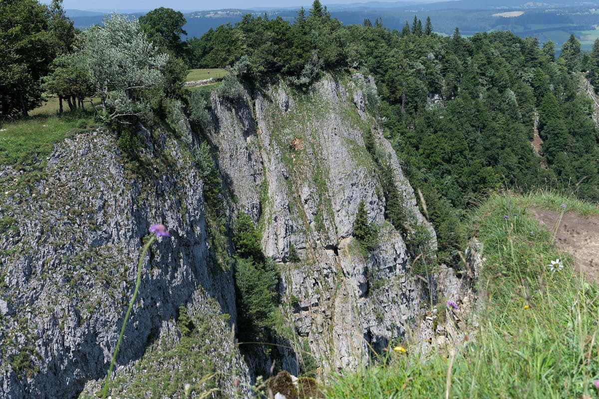 Dove Cliff Photos, Download The BEST Free Dove Cliff Stock Photos & HD ...