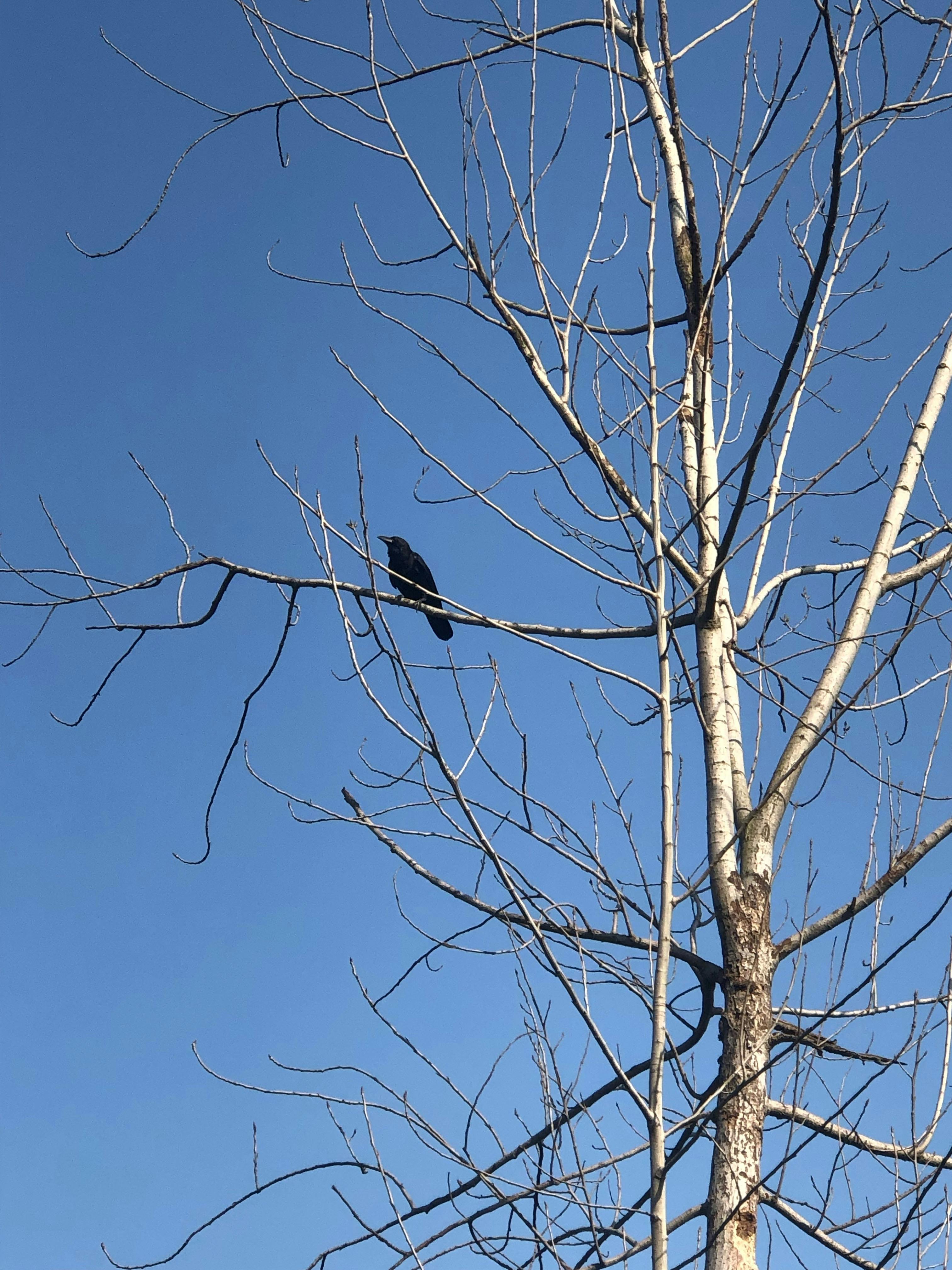 Sumit Dixit - Fotografi