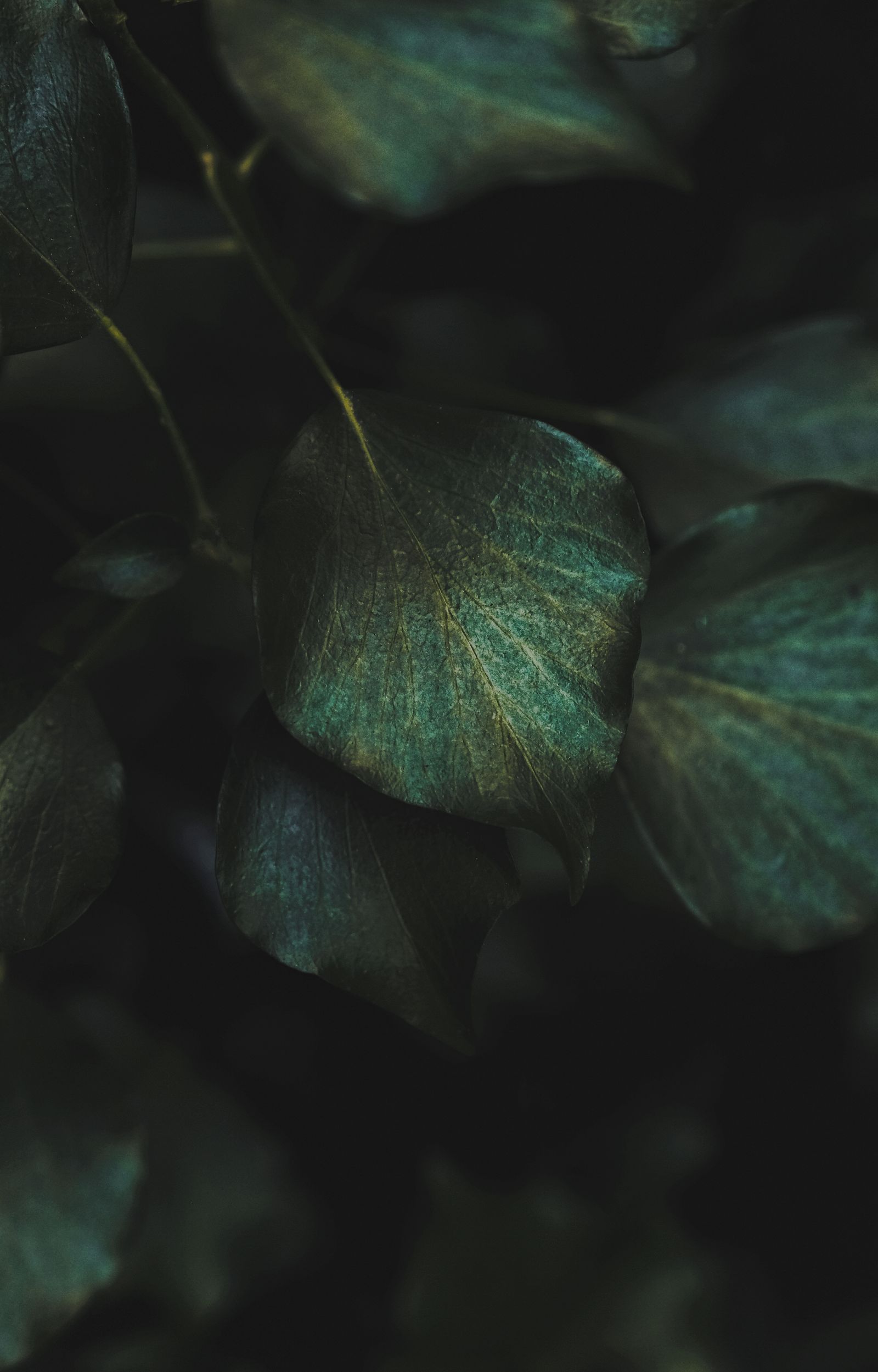 Green Writer Photos, Download The BEST Free Green Writer Stock Photos ...