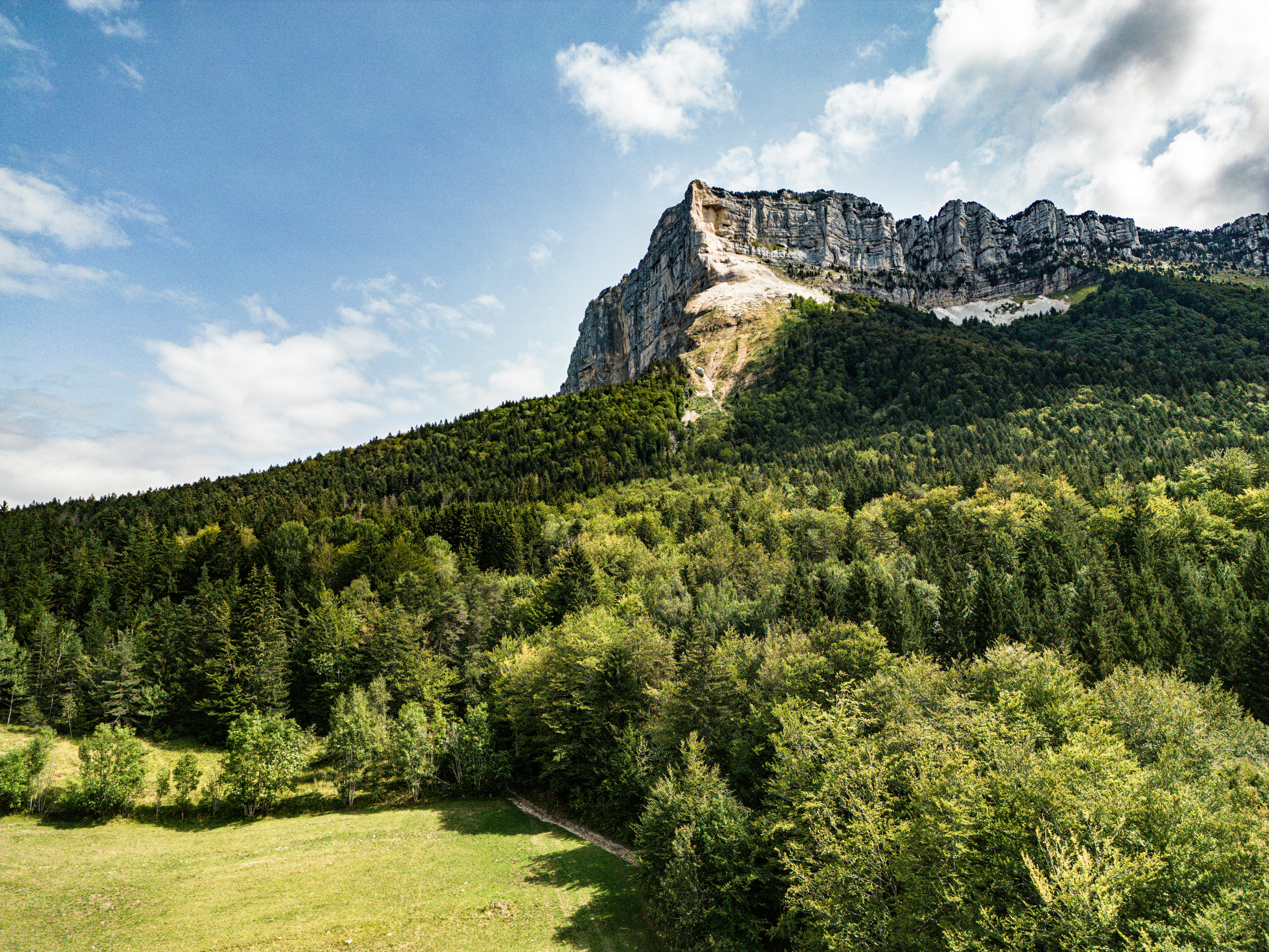 Green Forest under Mountain · Free Stock Photo