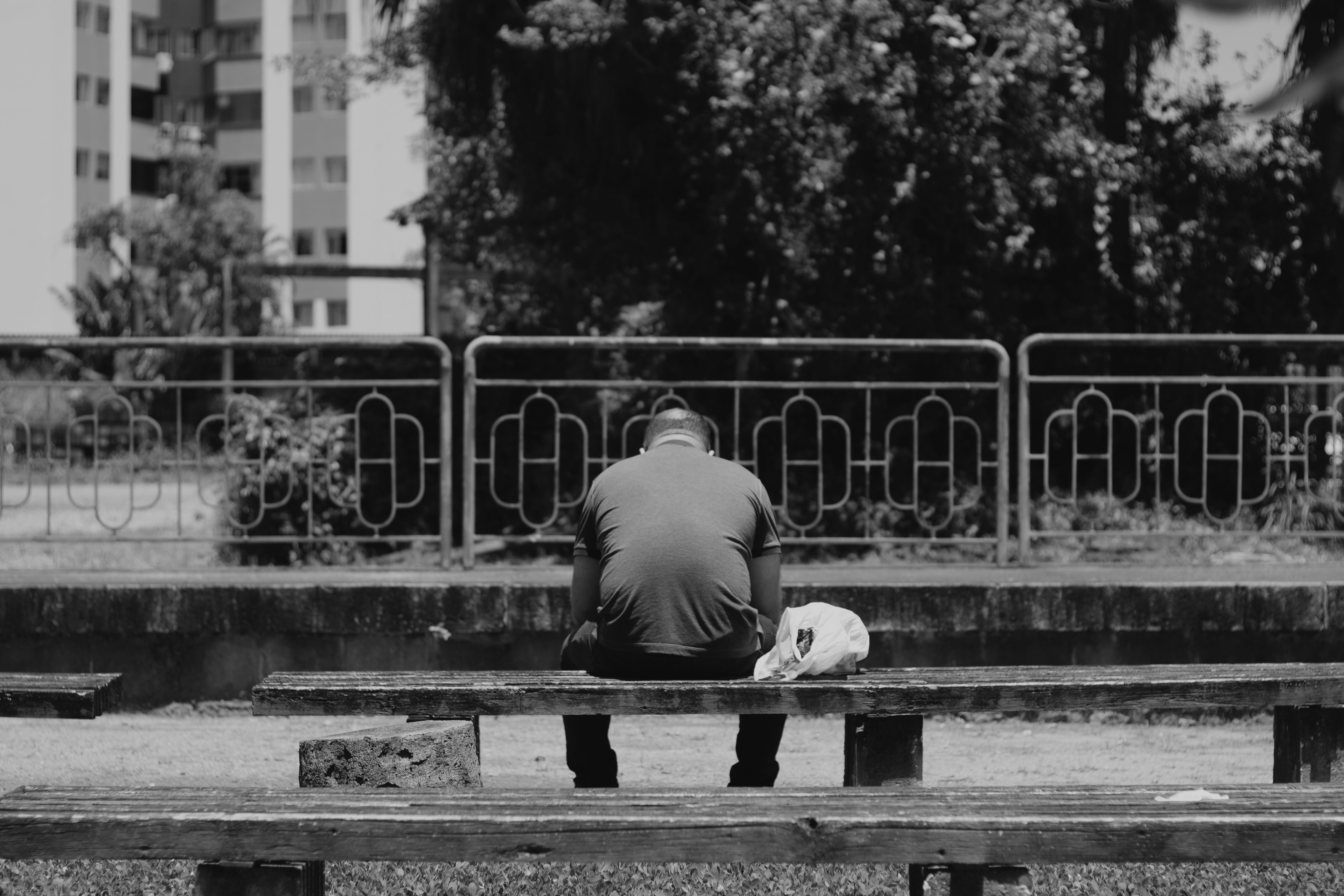 Man Sitting On Park Bench · Free Stock Photo