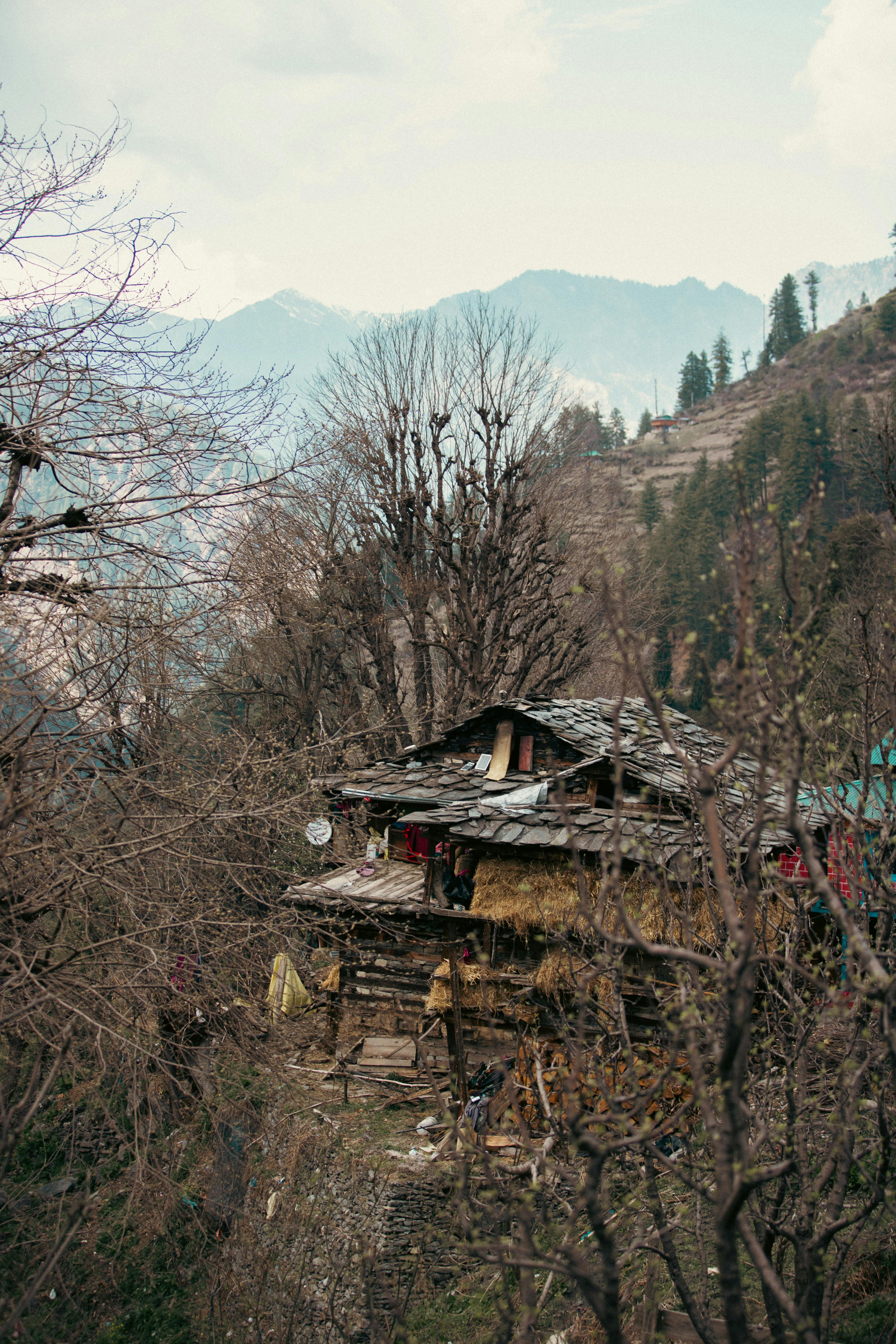 Old Crumbling Wooden House Among Leafless Trees on a Mountainside ...