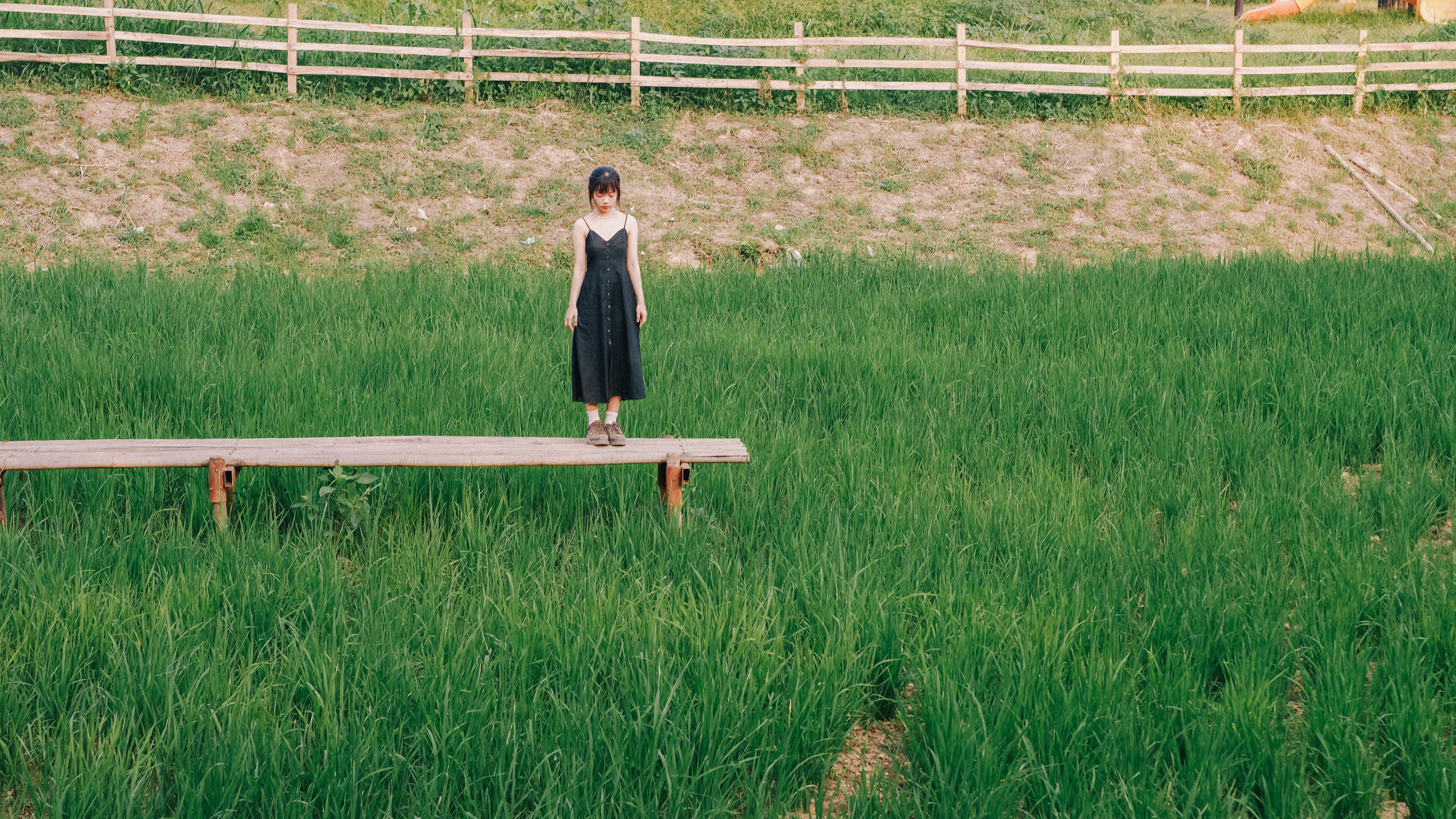Woman in Black Dress Standing on Bench · Free Stock Photo