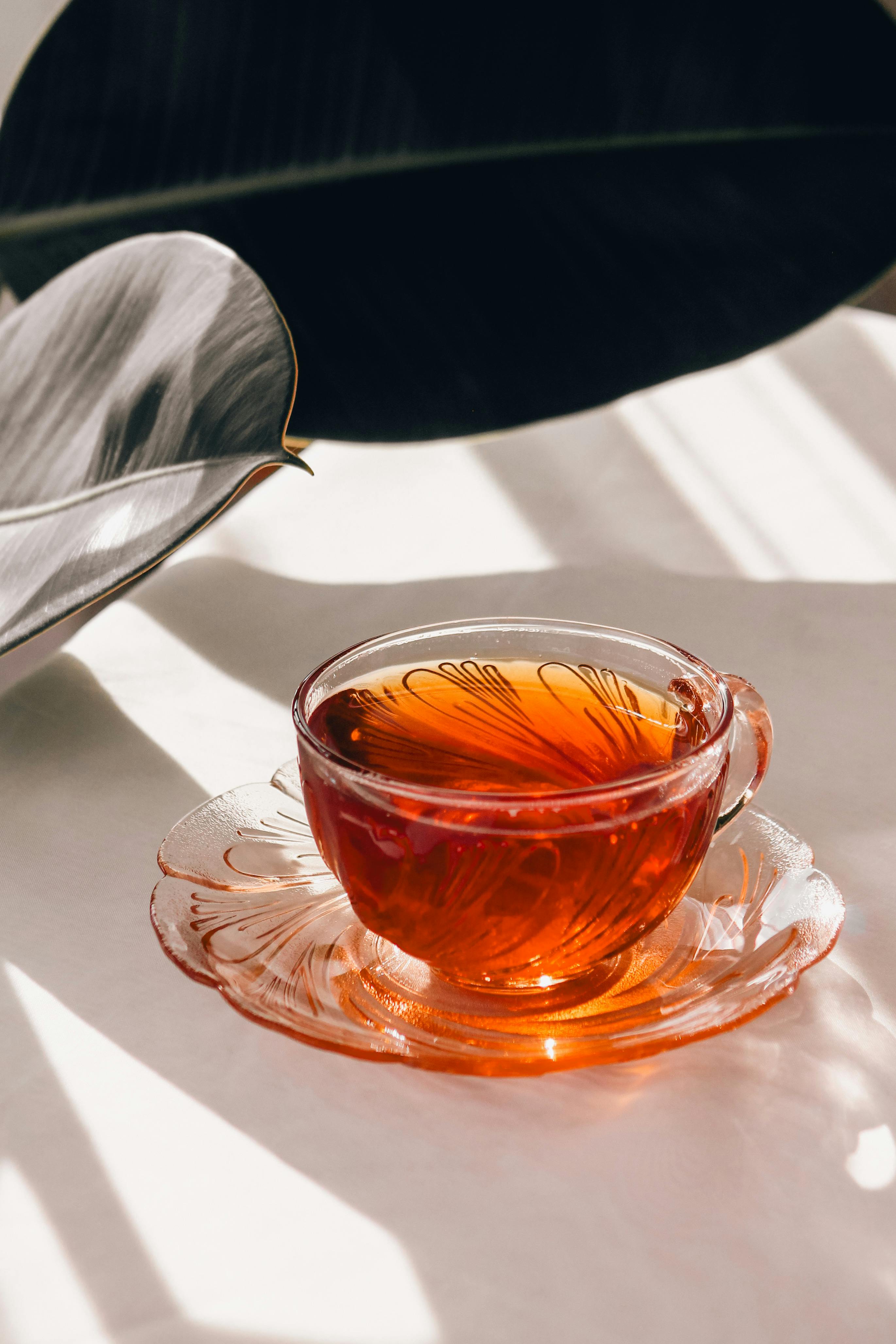 Sunlight Shadow Photos, Download The BEST Free Sunlight Shadow Stock ...