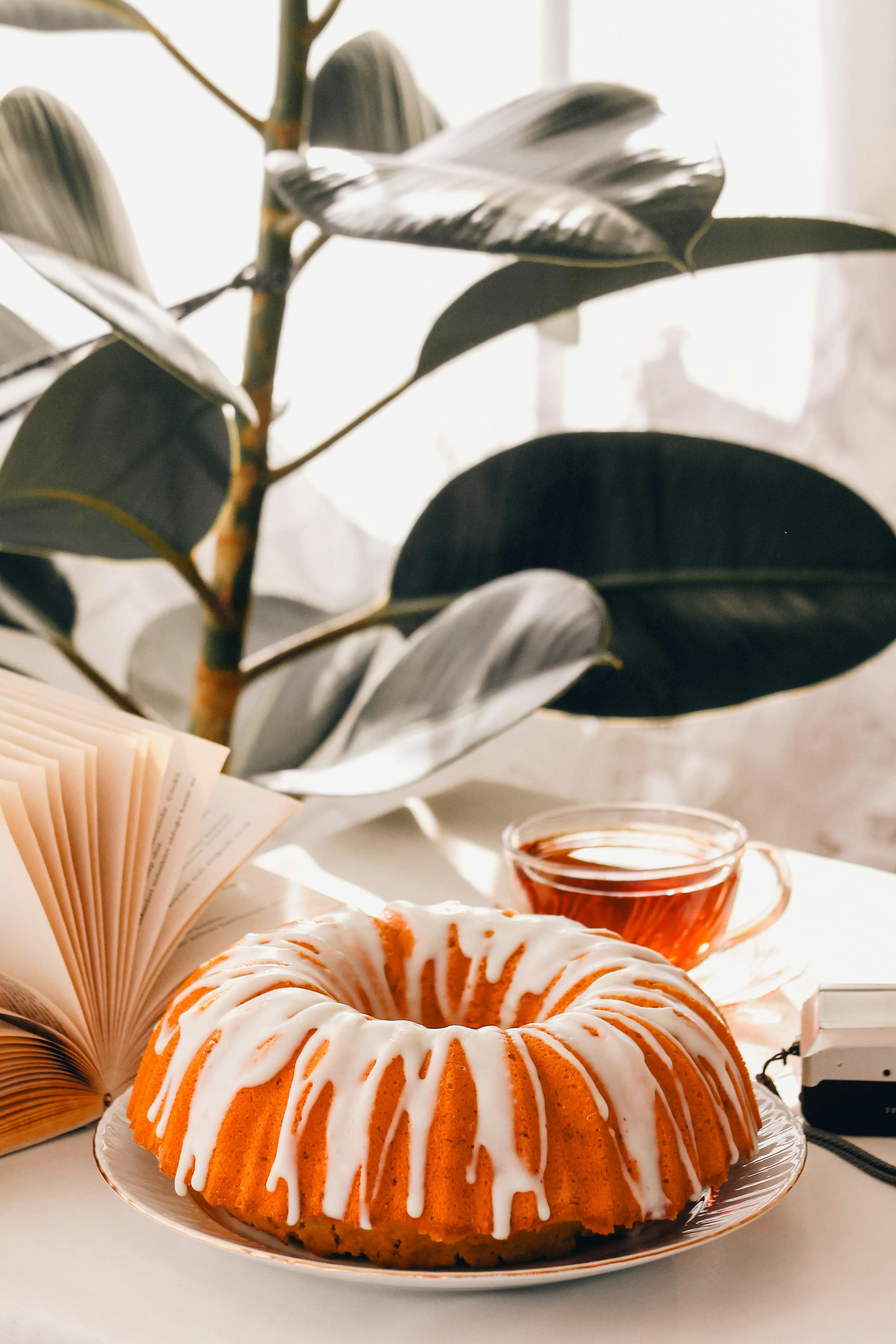 Bundt Cake with Icing with Ficus in Background · Free Stock Photo