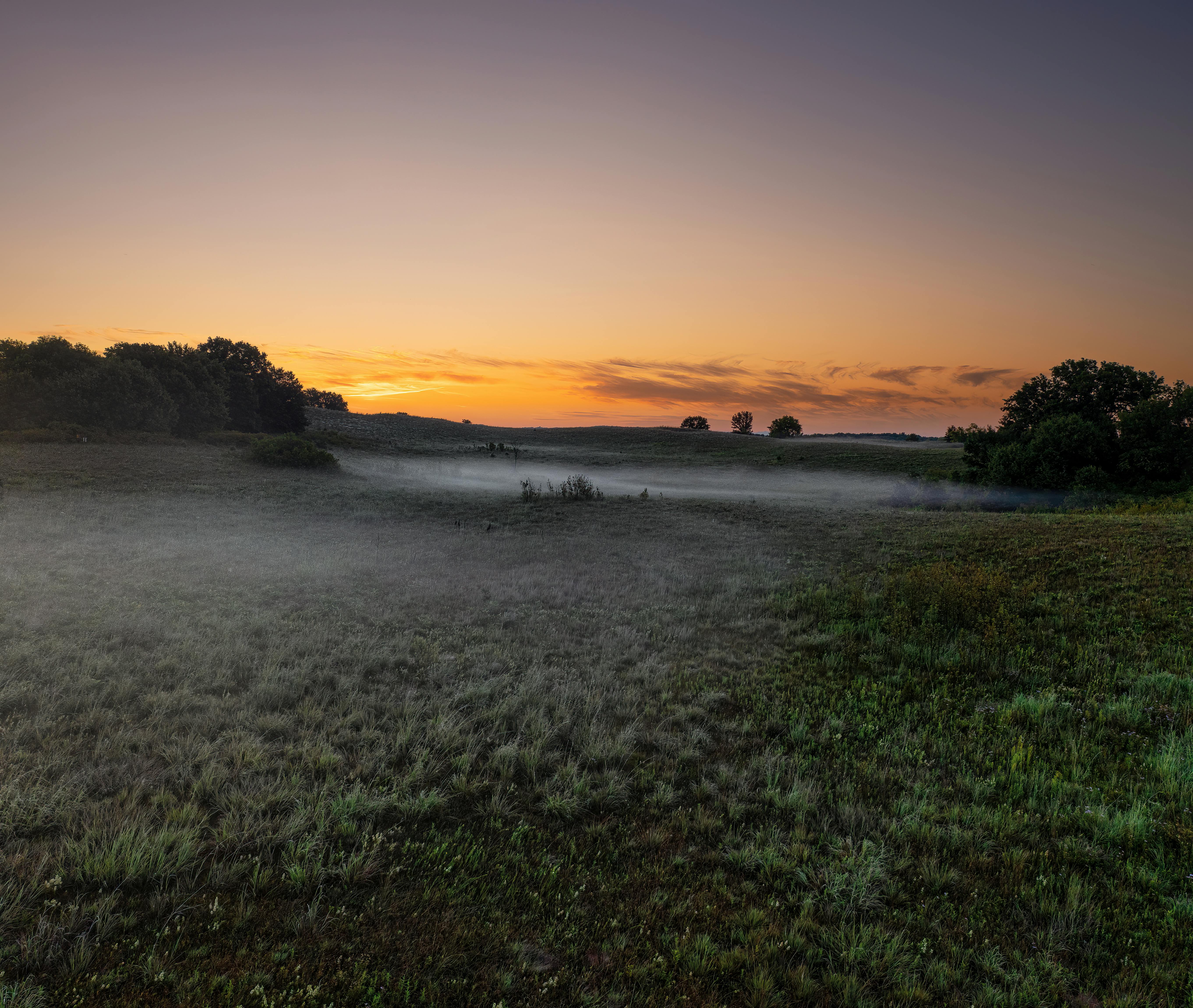 Fog in Countryside at Dawn · Free Stock Photo