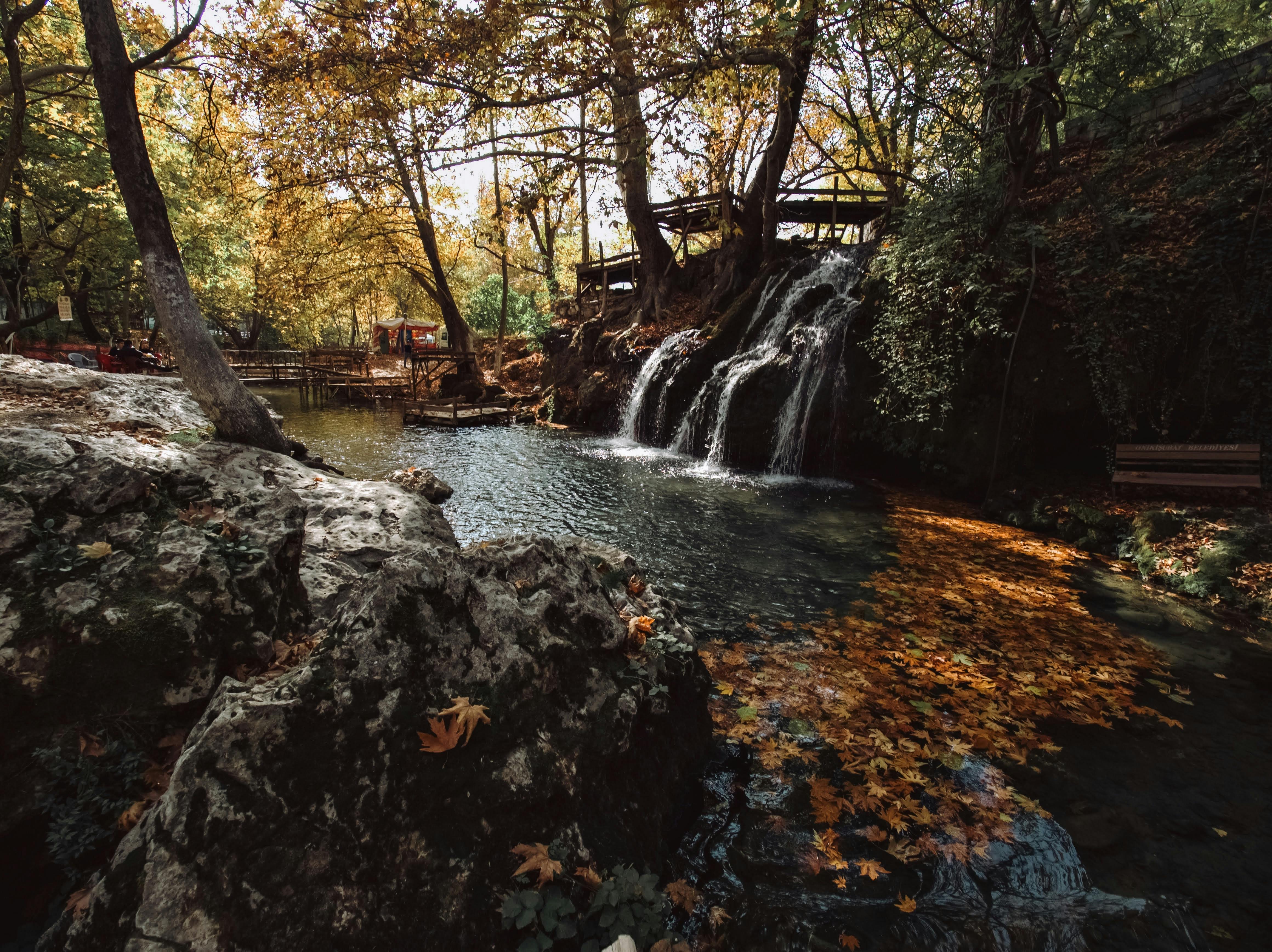 Park with Waterfall in Autumn · Free Stock Photo