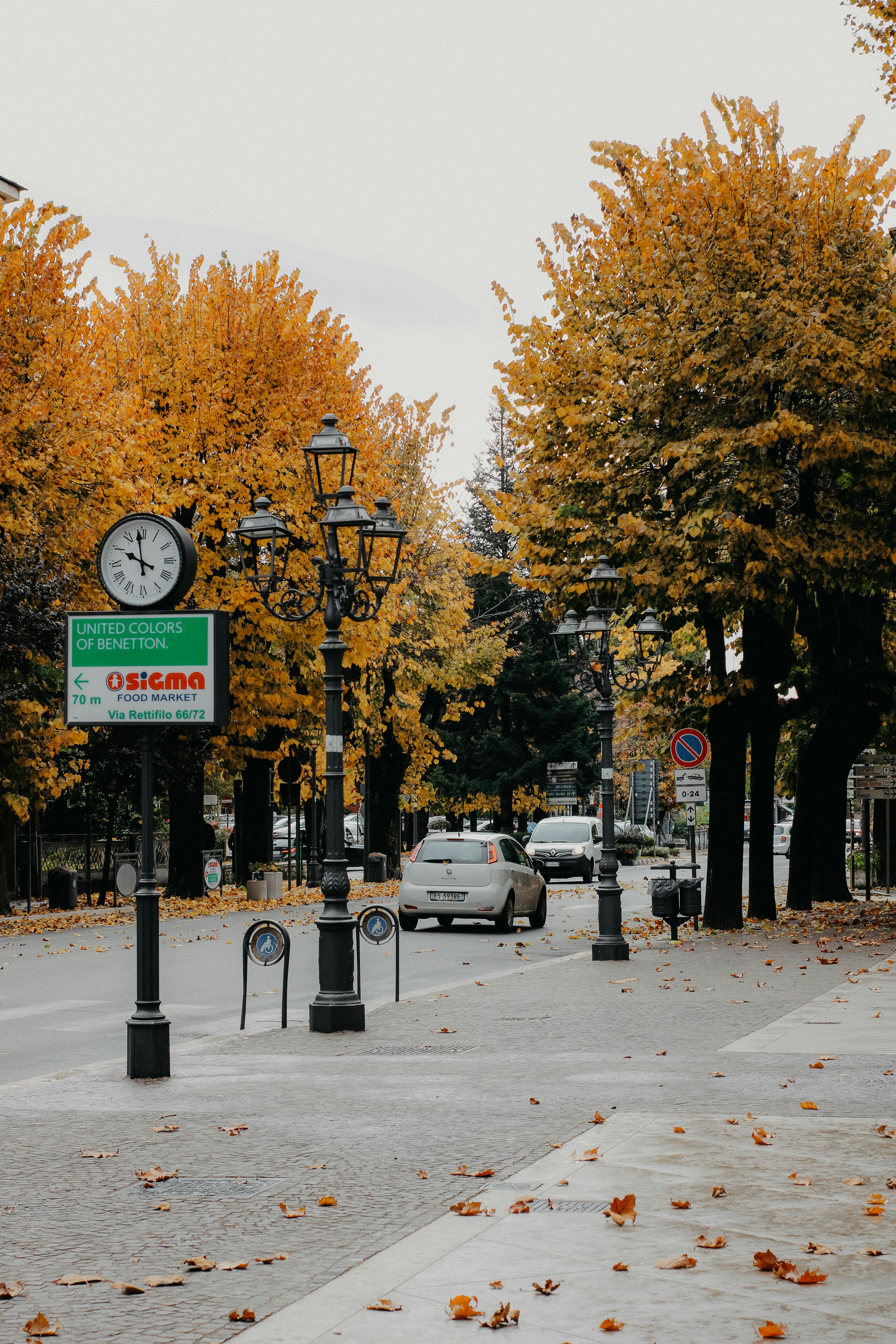City Street in Autumn · Free Stock Photo