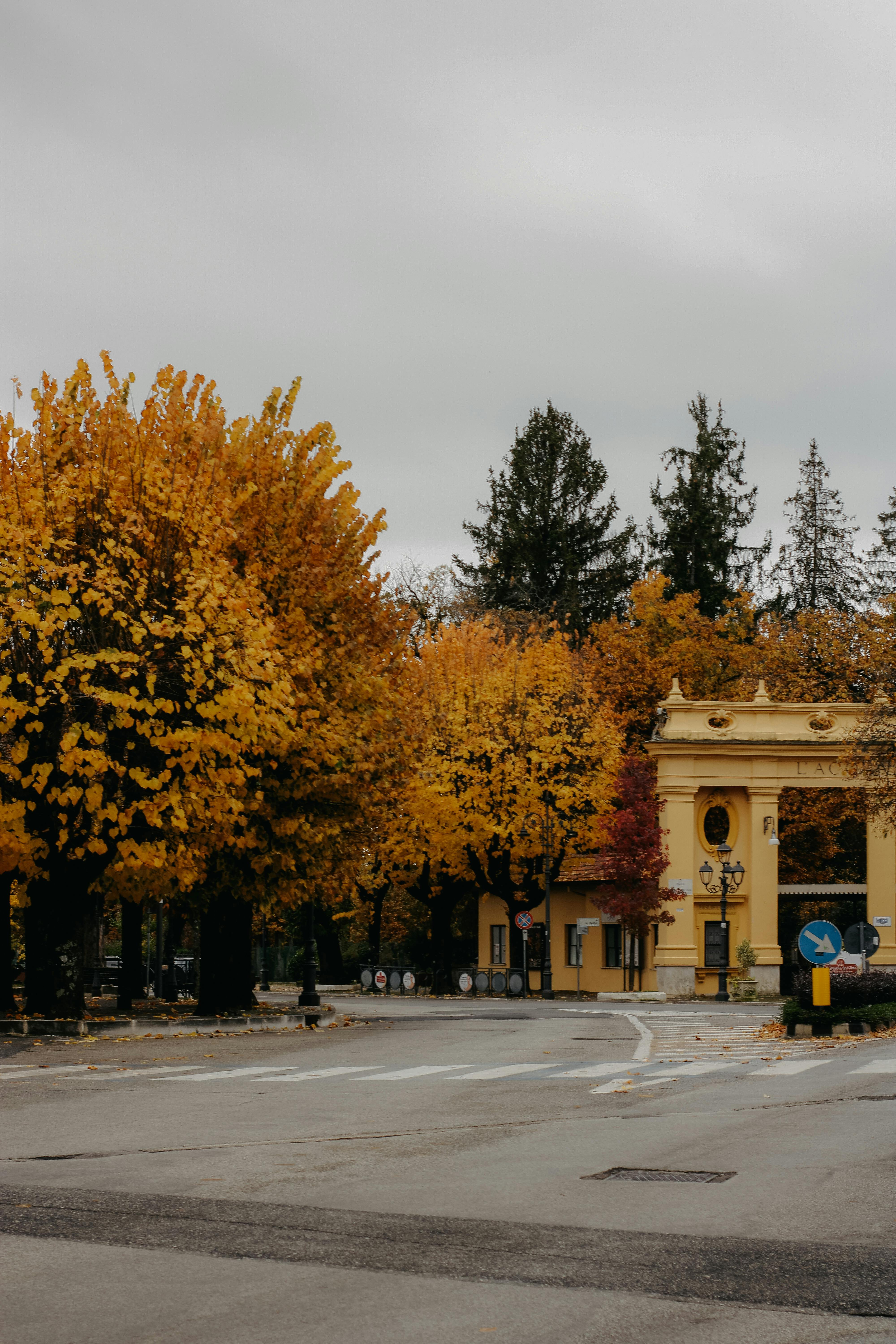 Photo of a Street in Autumn · Free Stock Photo
