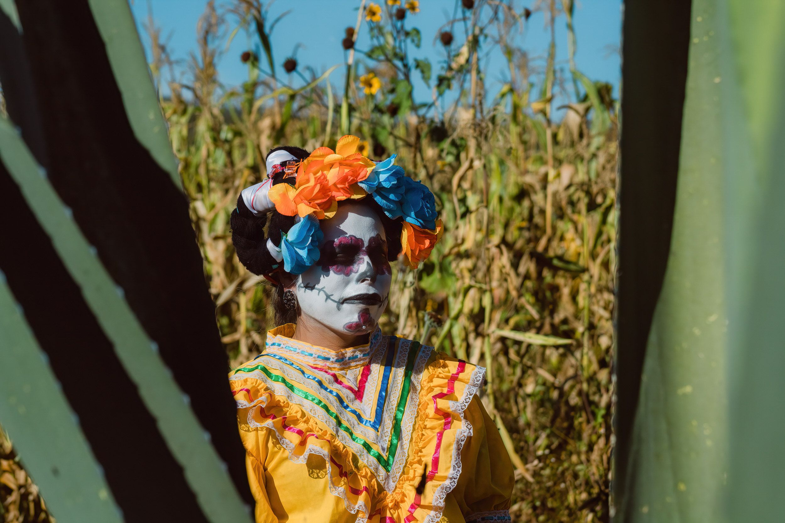 Horror Pics Photos, Download The BEST Free Horror Pics Stock Photos ...