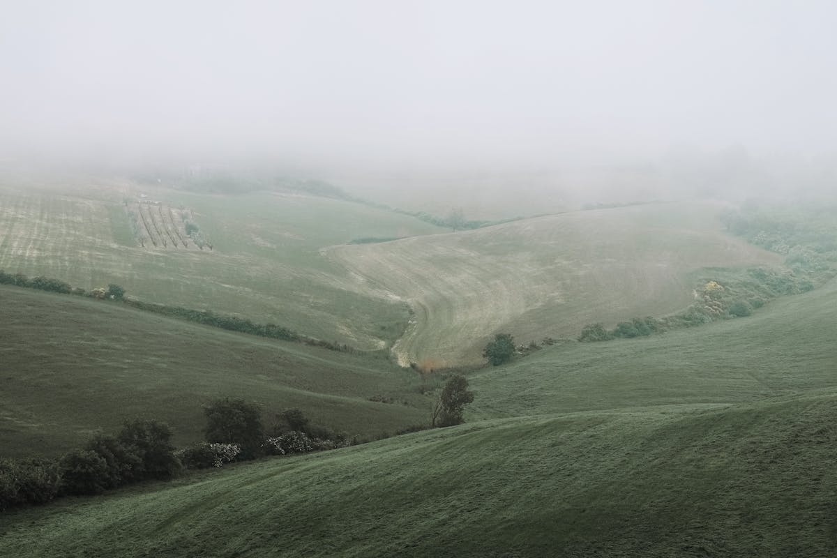 Irish Fields Photos, Download The BEST Free Irish Fields Stock Photos ...