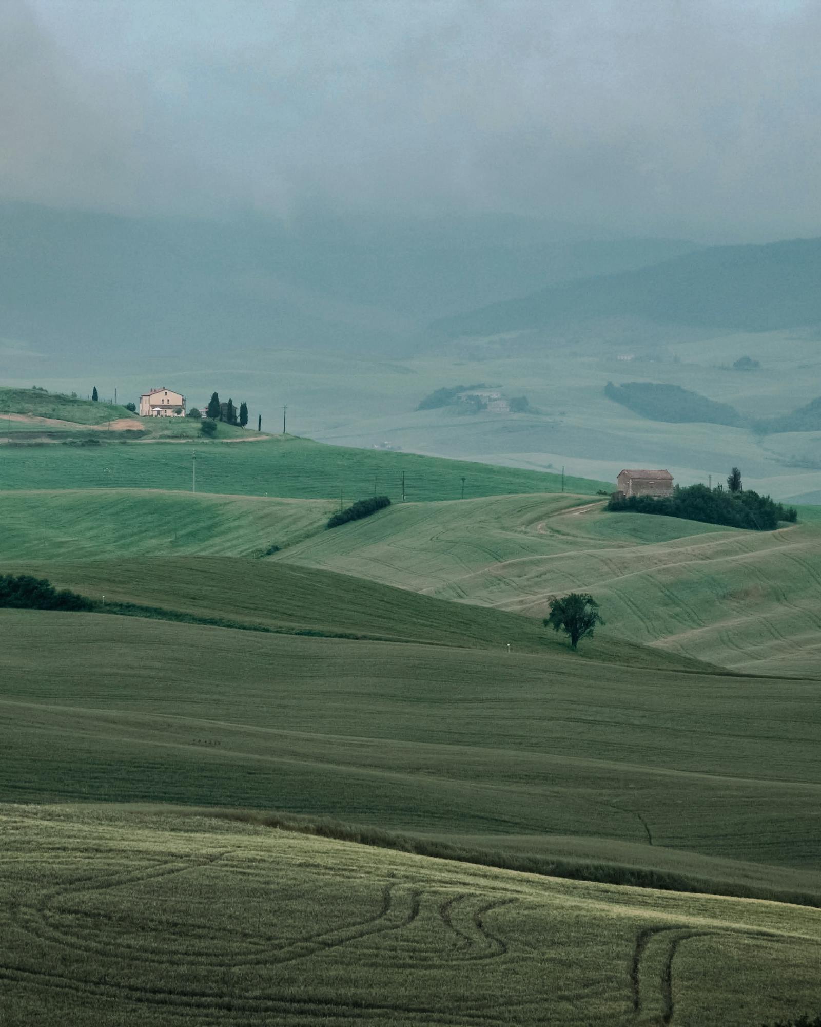 Irish Fields Photos, Download The BEST Free Irish Fields Stock Photos ...