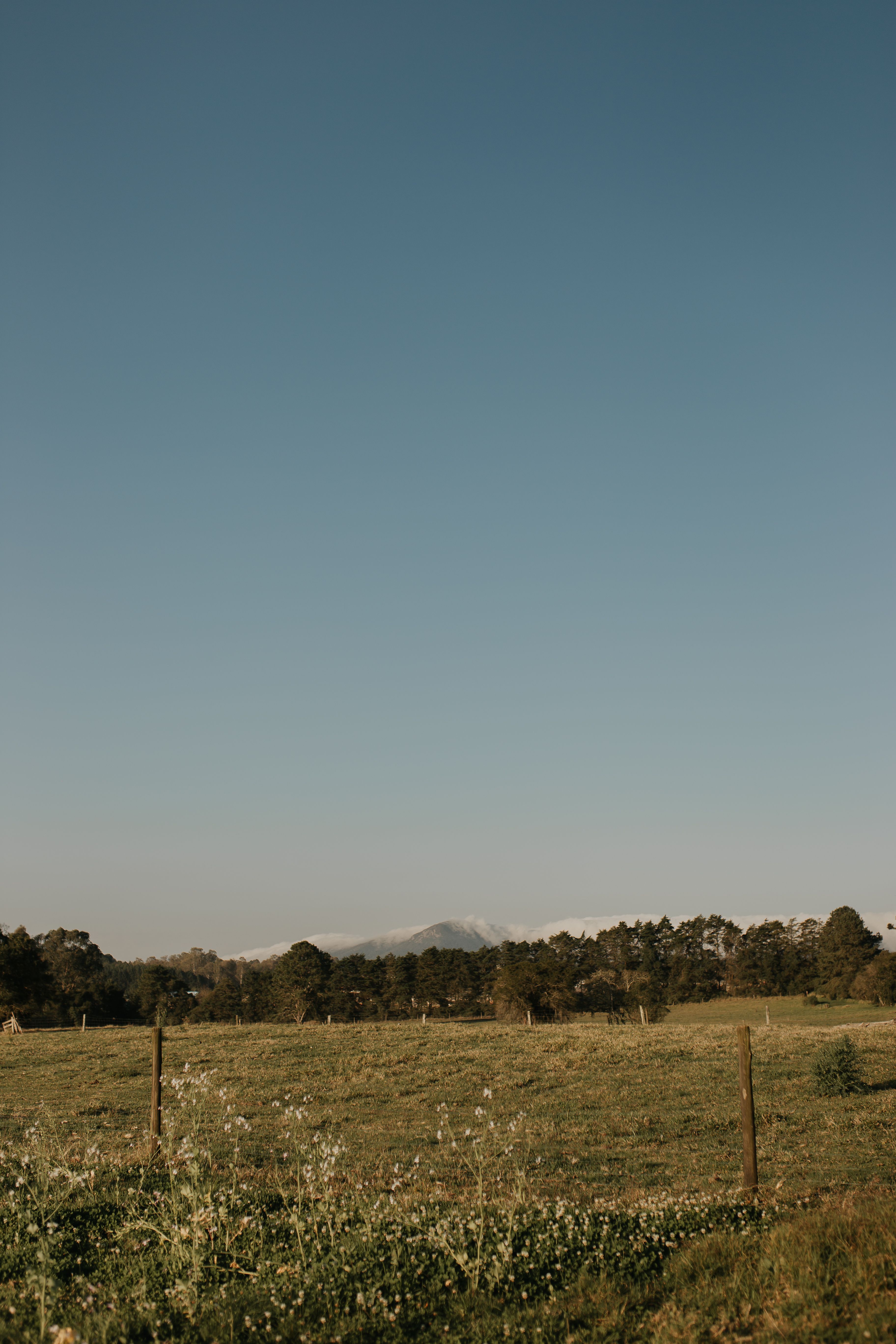 Landscape with a Meadow · Free Stock Photo