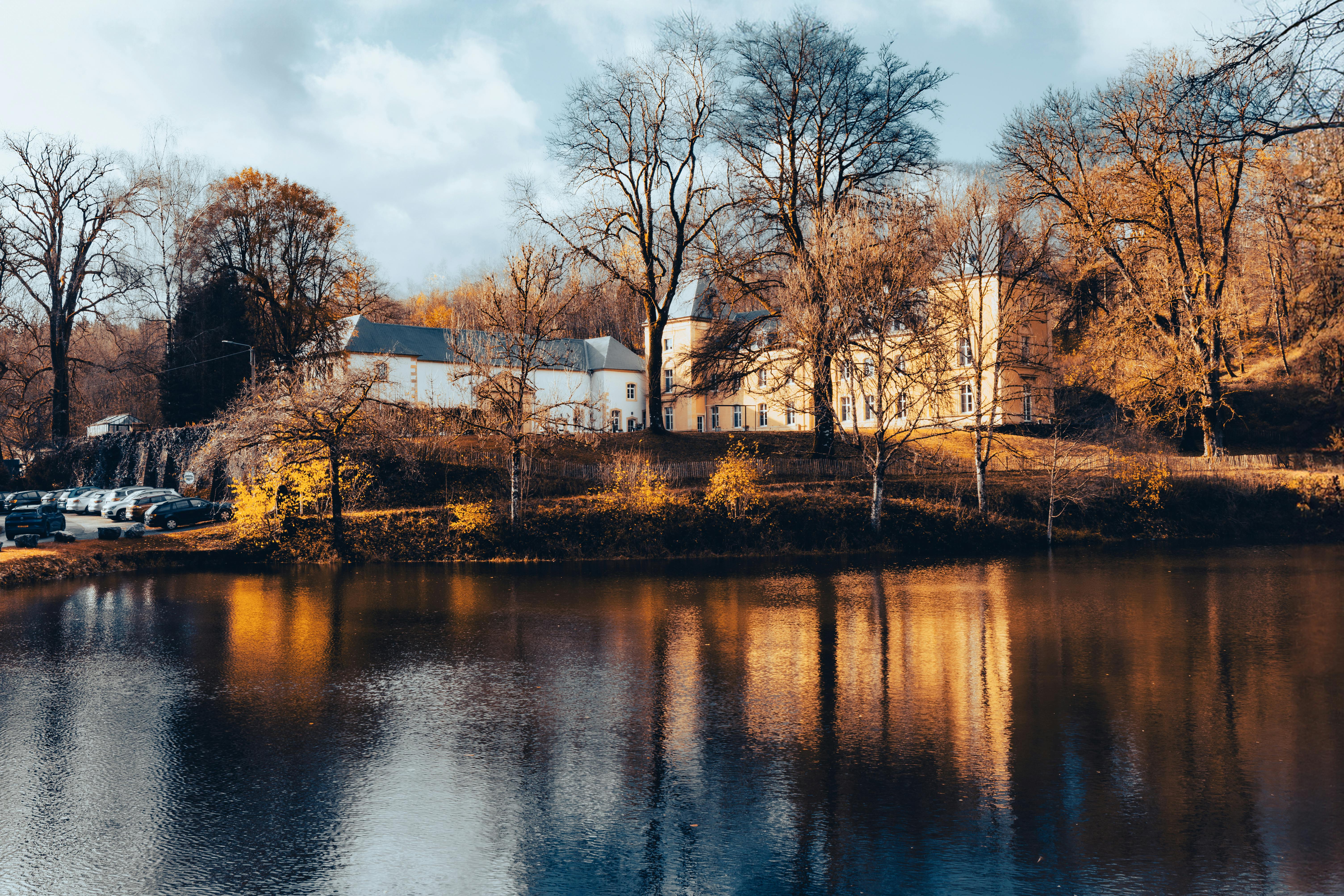 Treeline With Lake Photos, Download The BEST Free Treeline With Lake ...