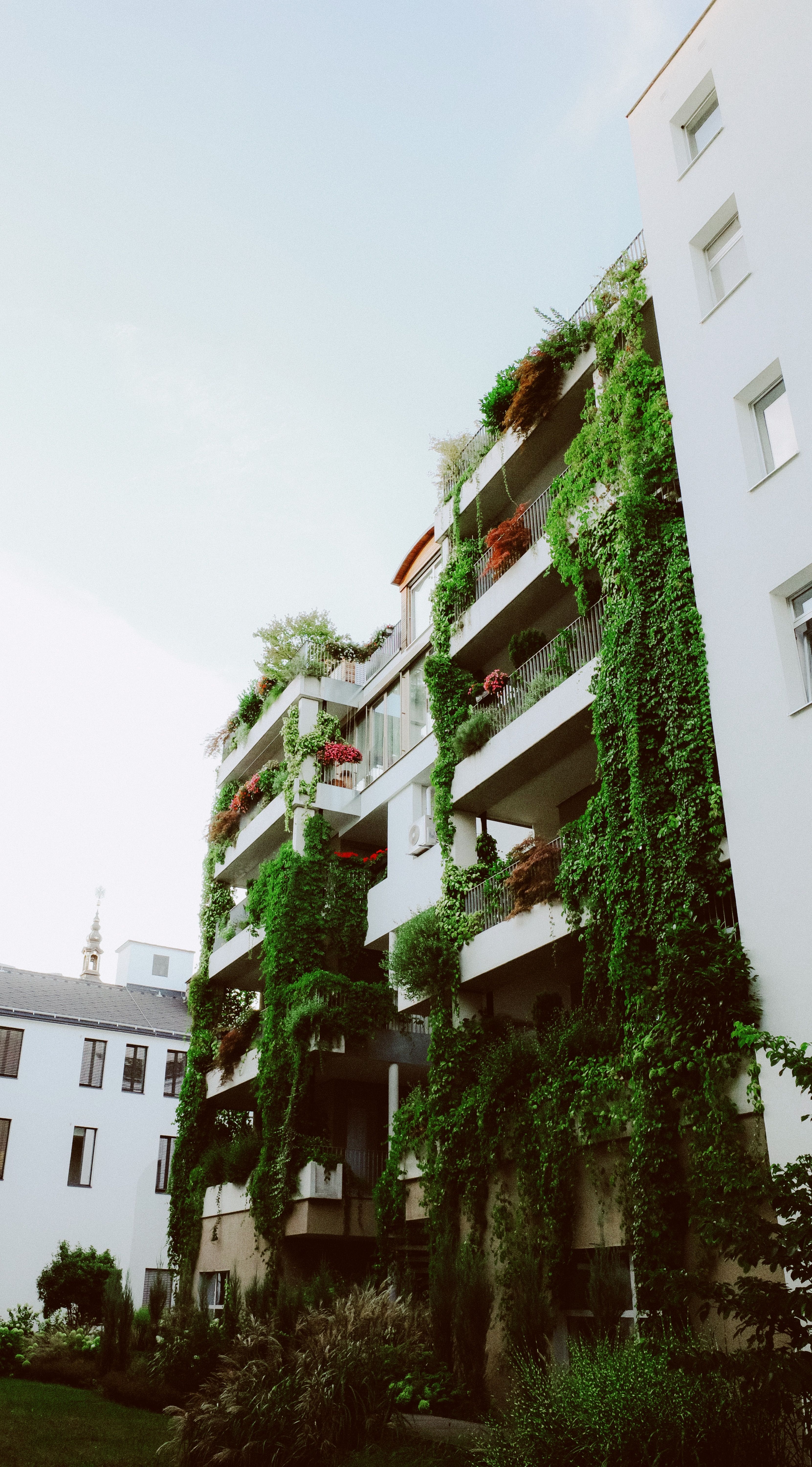 Residential Building Facade with Green Creeper Plant Hanging from ...