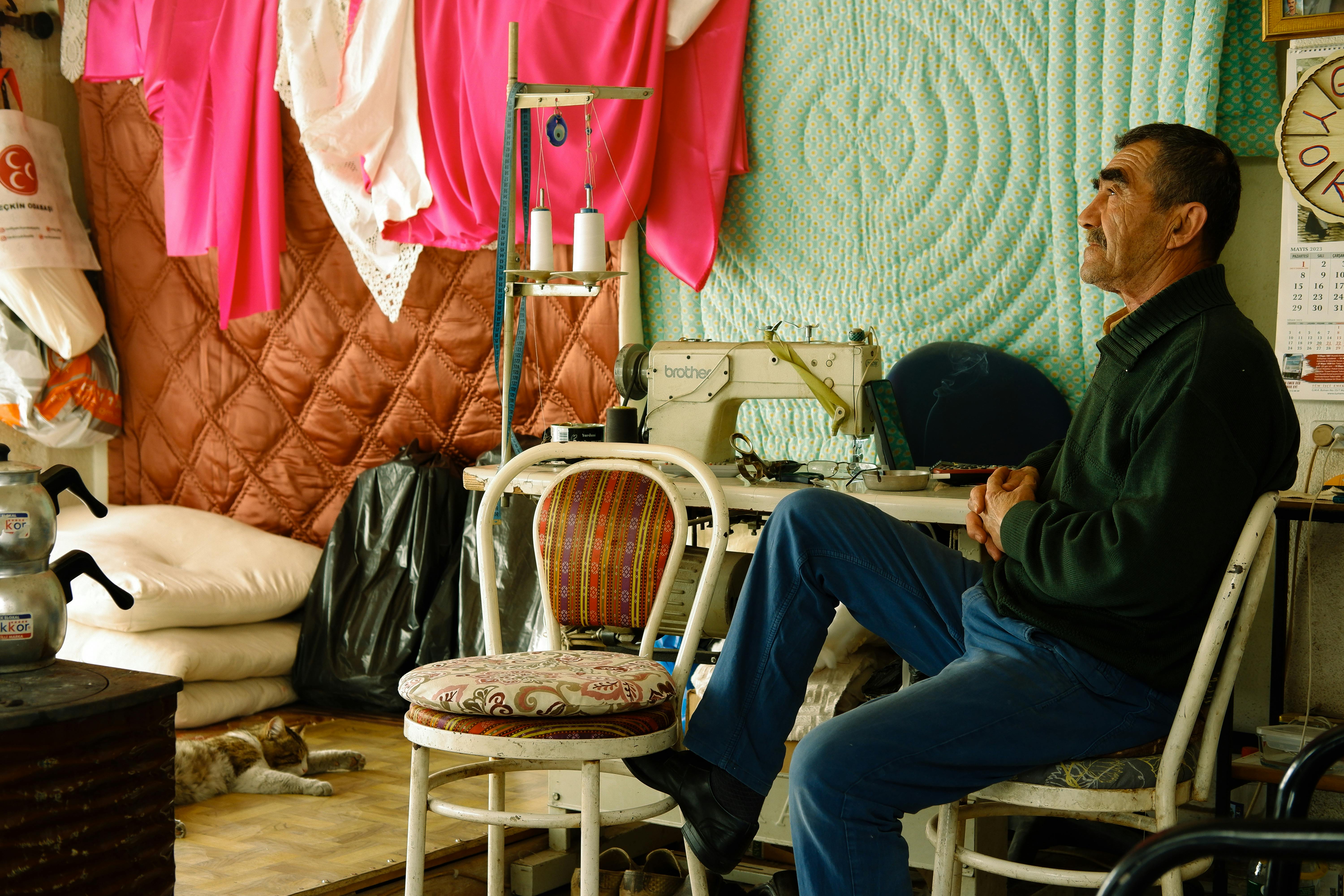 Pog Cat Photos, Download The BEST Free Pog Cat Stock Photos & HD Images