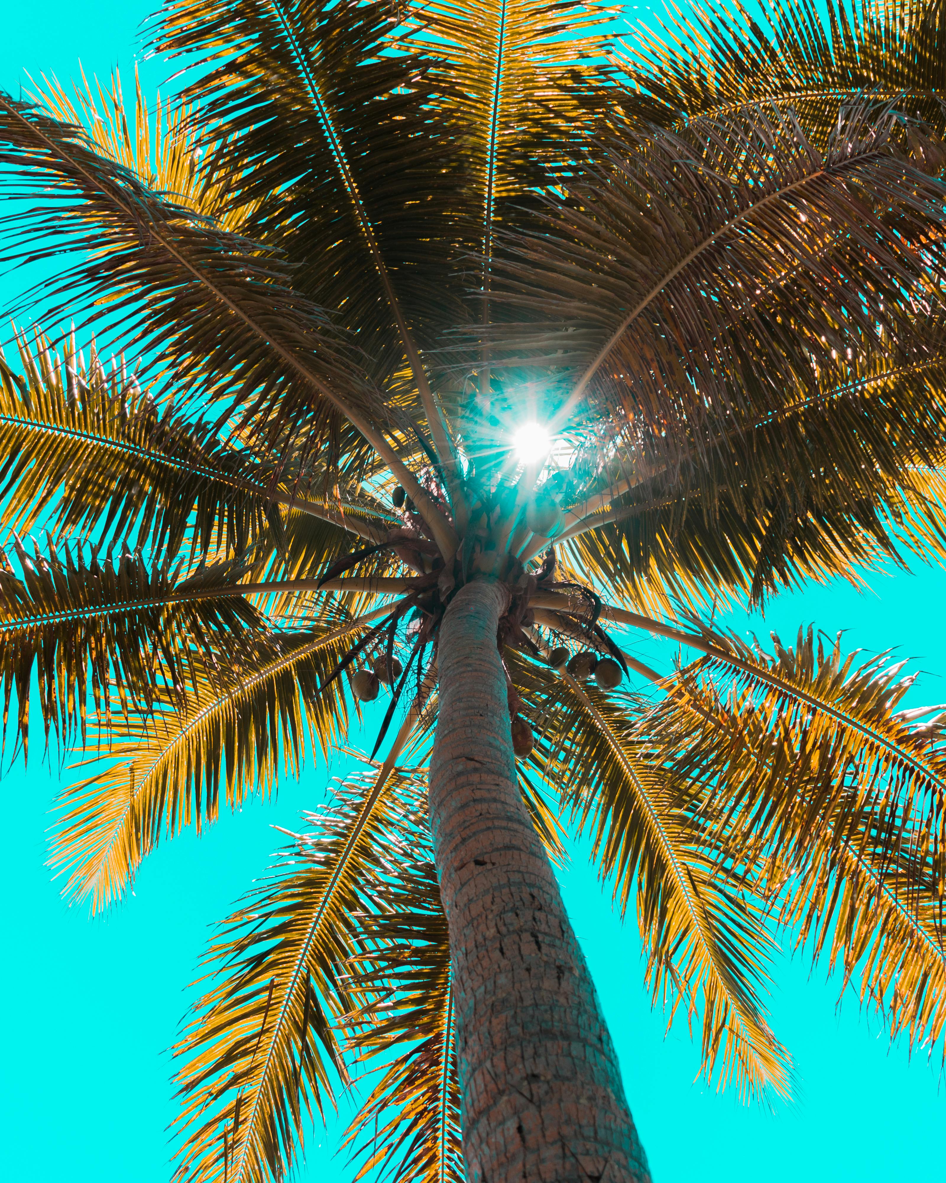 Free stock photo of dark, dark blue, fiji