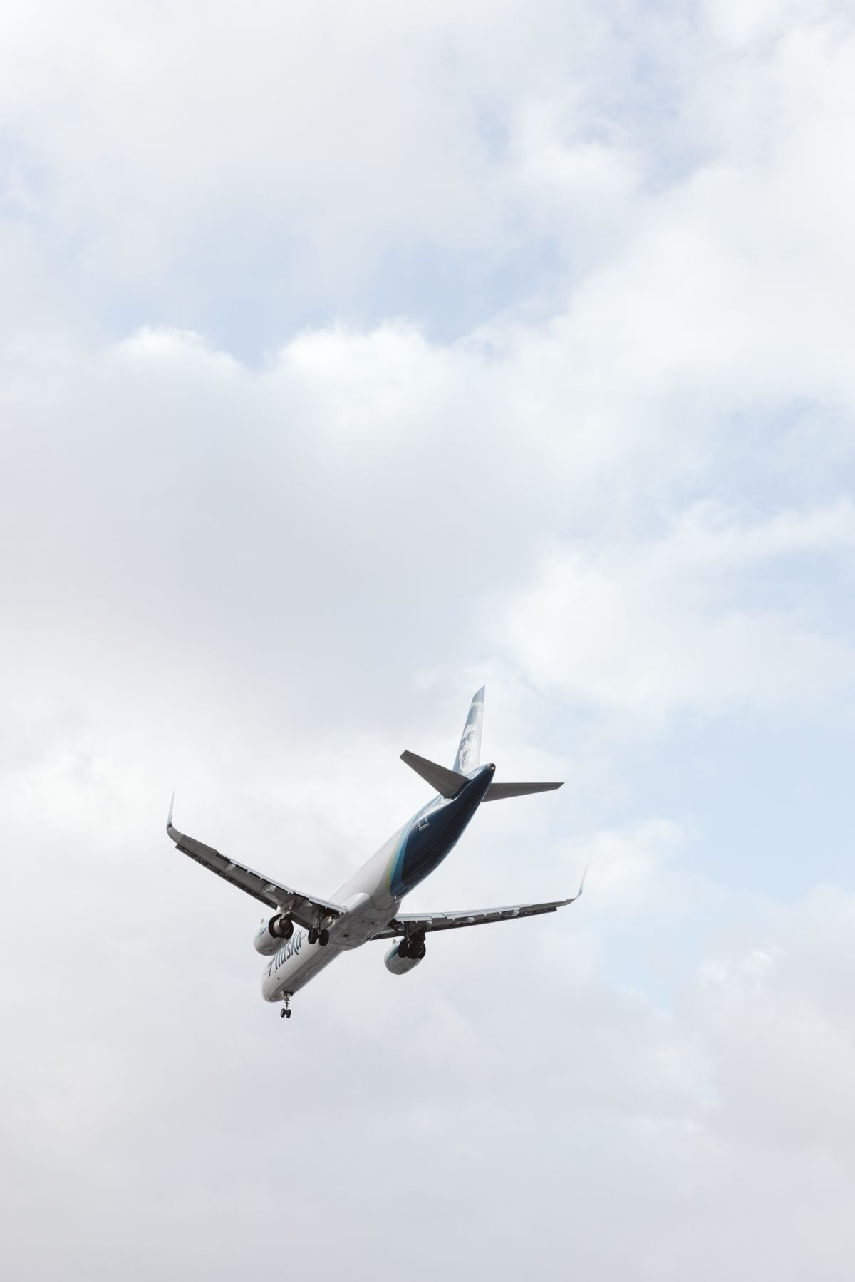 Animated Airplane Photos, Download The BEST Free Animated Airplane ...
