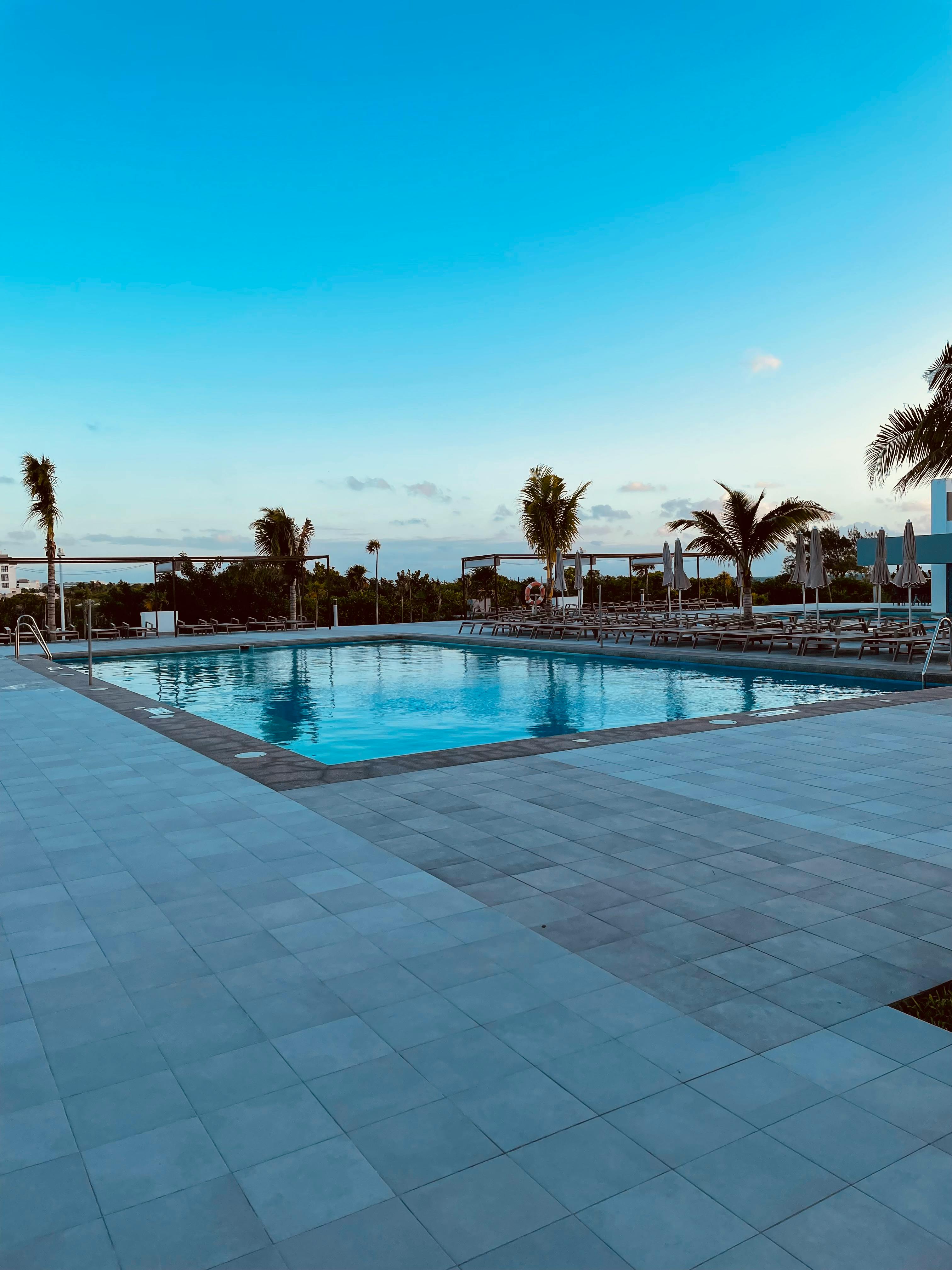 Kim Messier - Photography