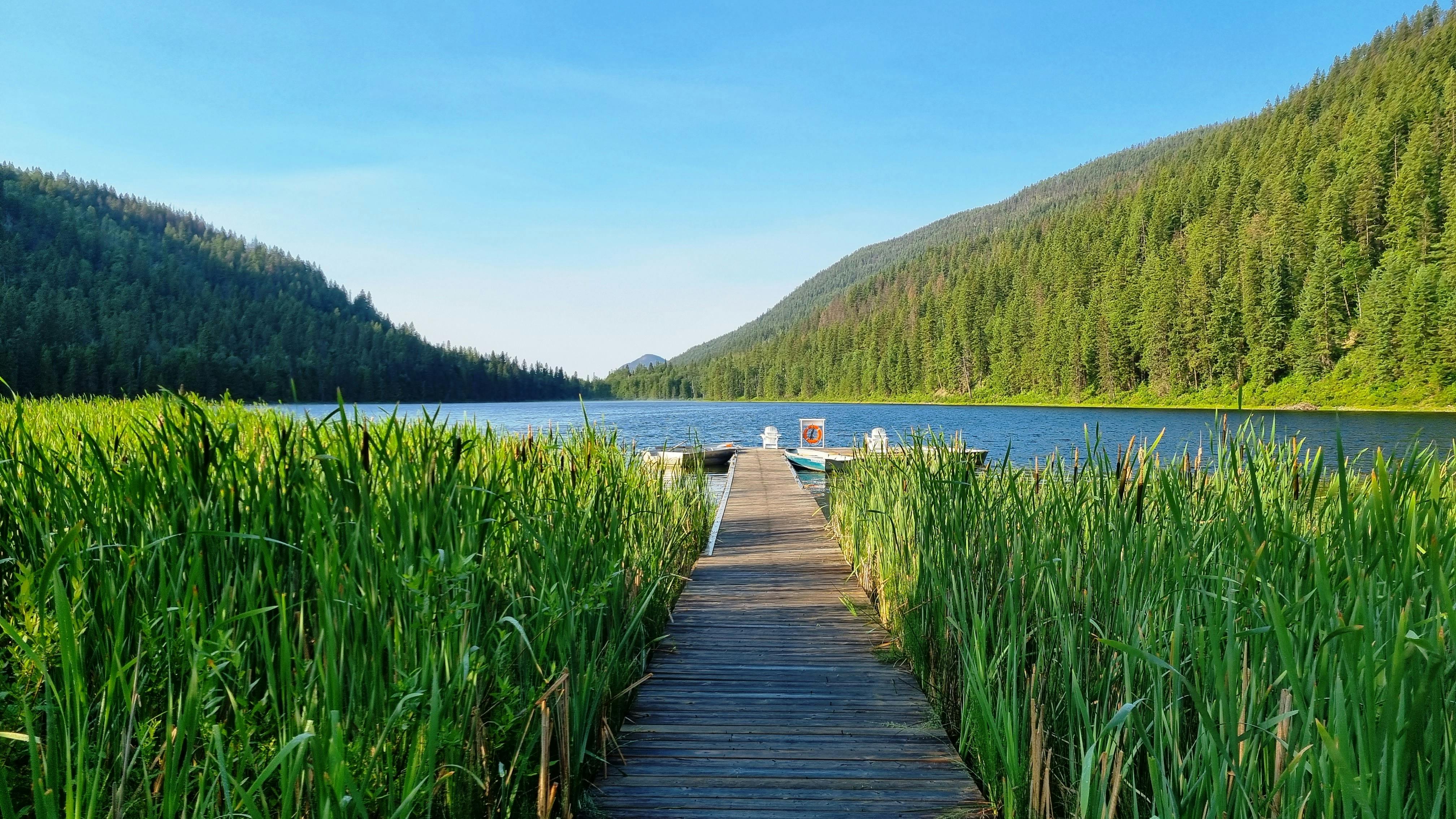 Anna Pavlenko – фотографія