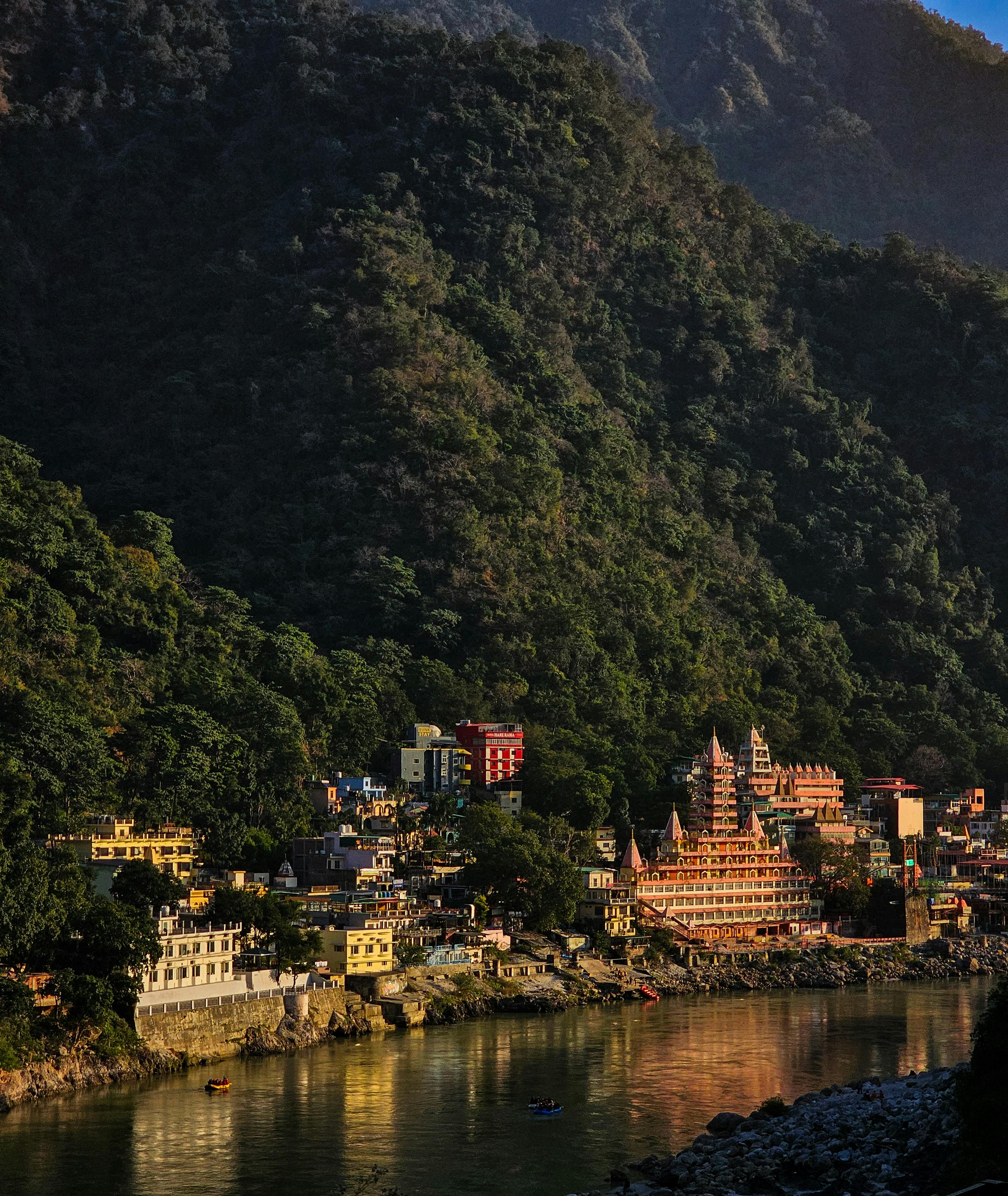 Devashish Gupta - 사진